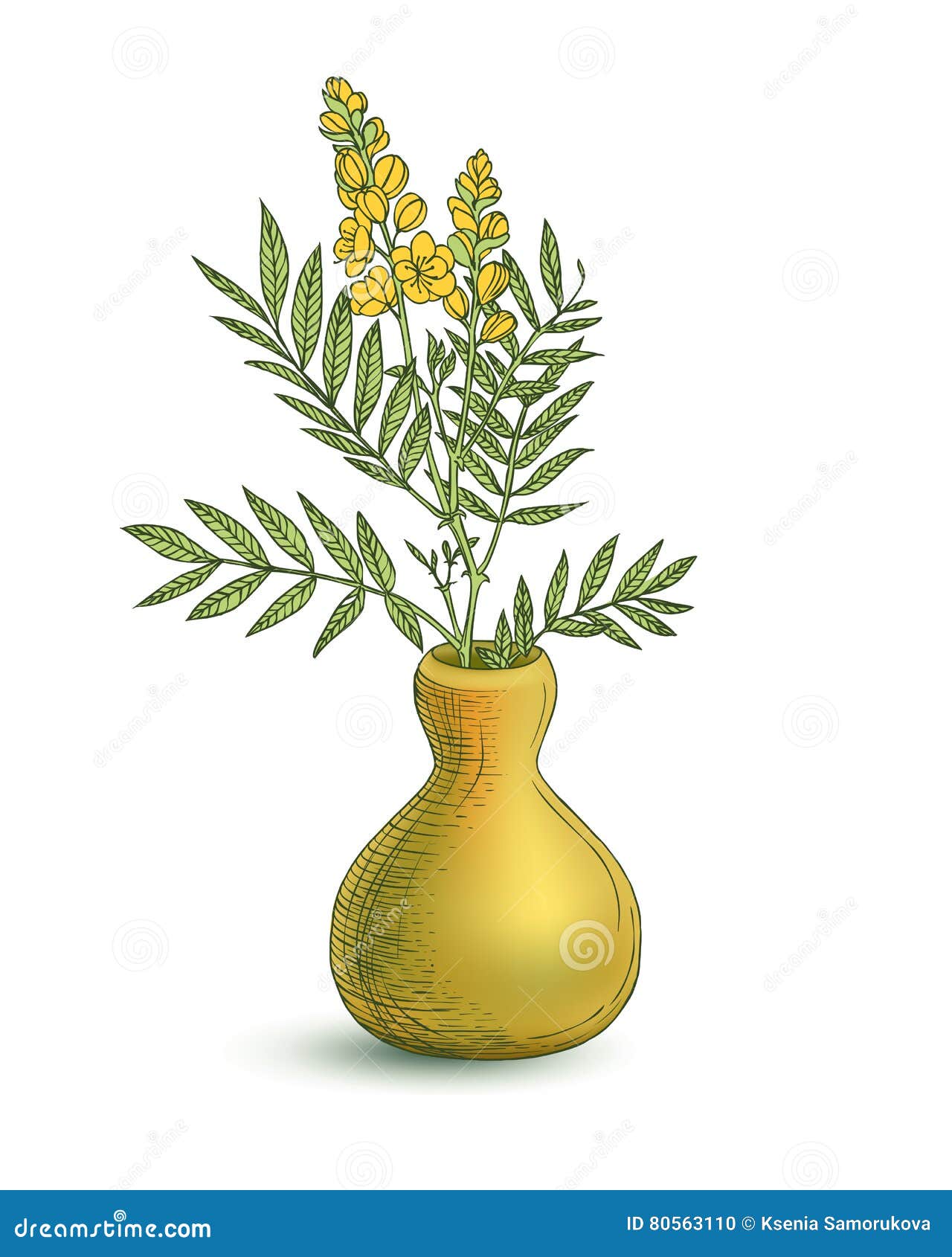 A Yellow Senna Didymobotrya Flower Is A Species Of Flowering Plant In ...