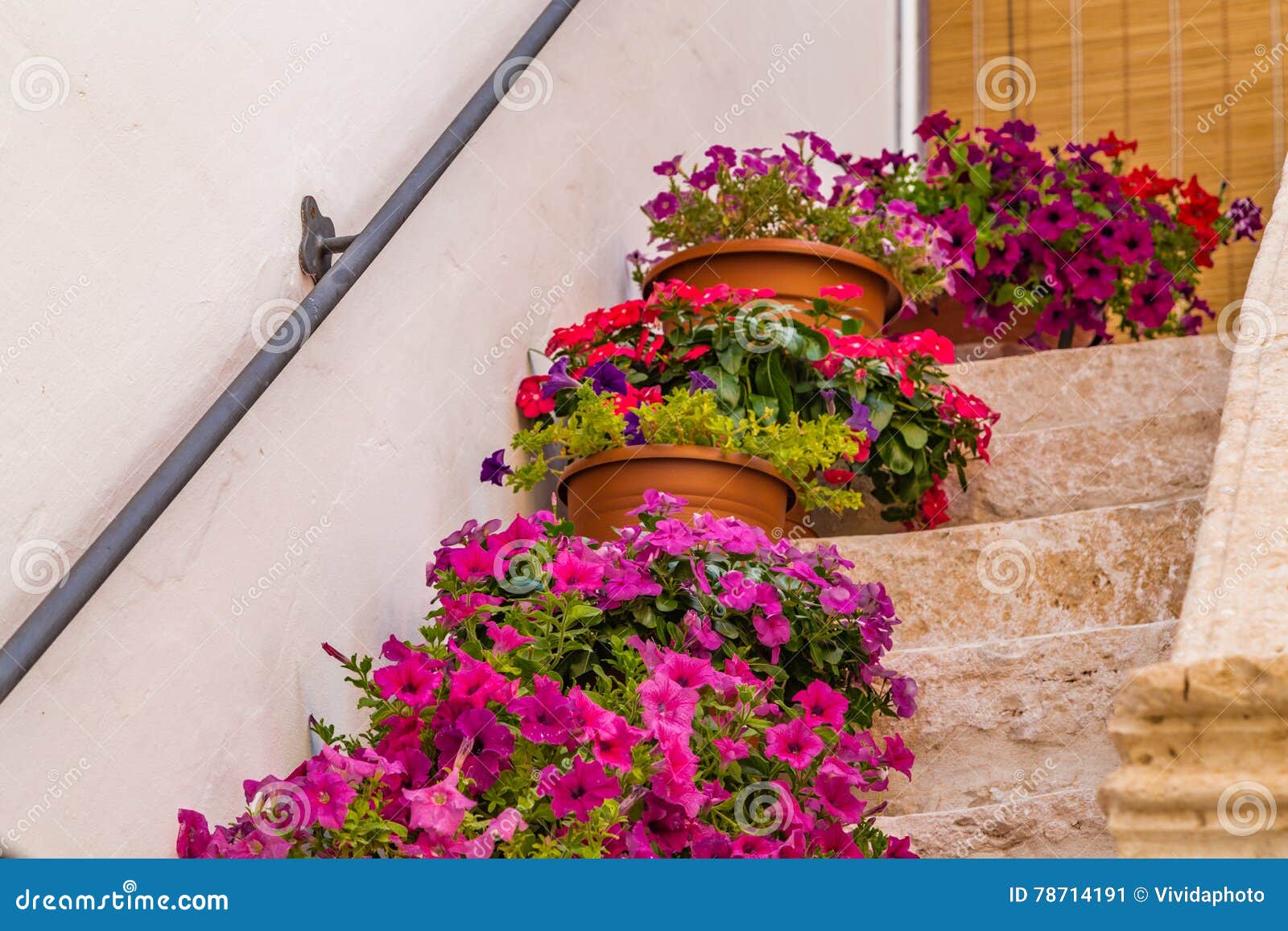 Vases of Flowers on Steps of Staircase Stock Image - Image of puglia ...