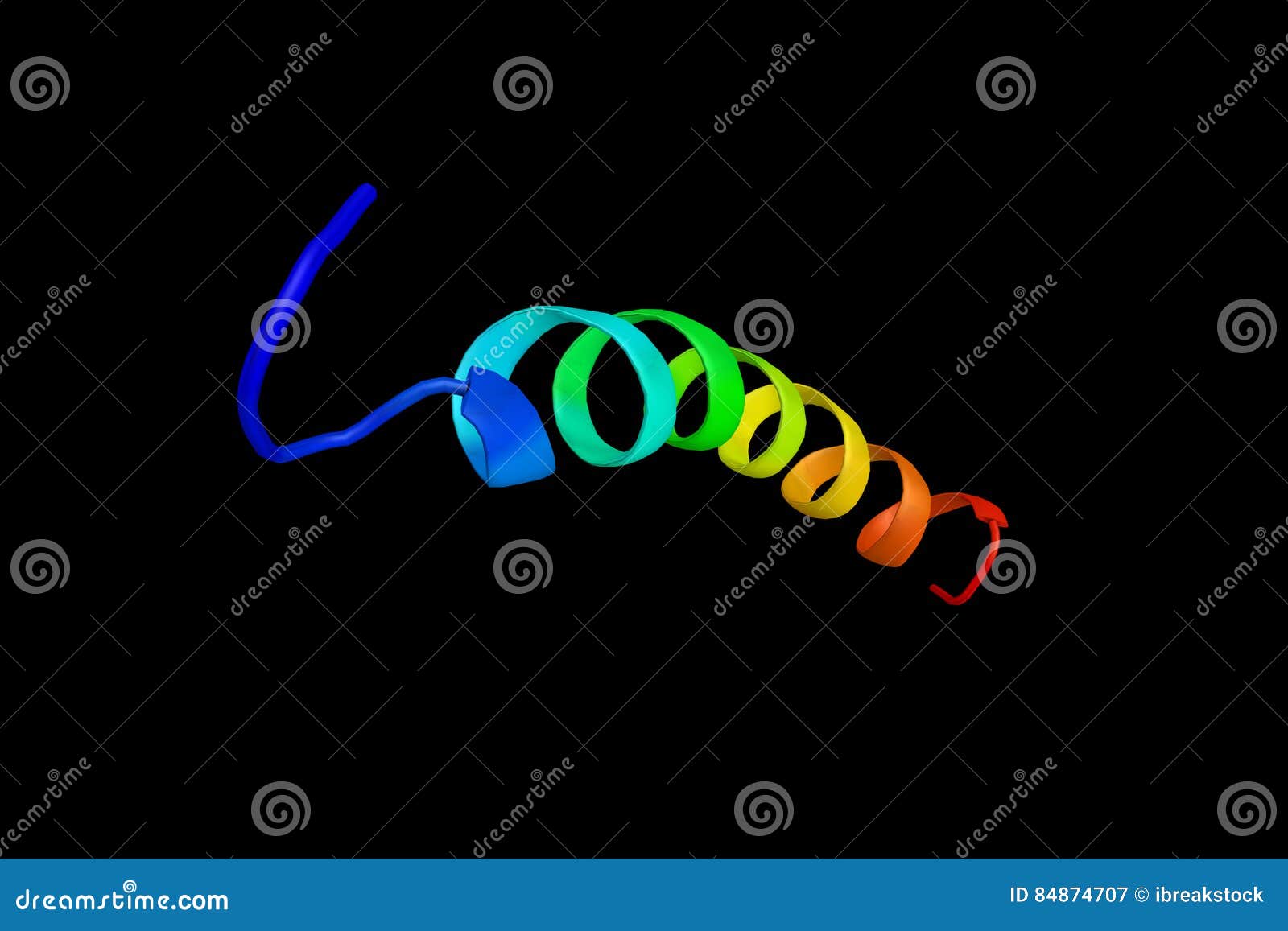 Vasoactive Intestinal Peptide, Also Known As the Vasoactive Stock ...