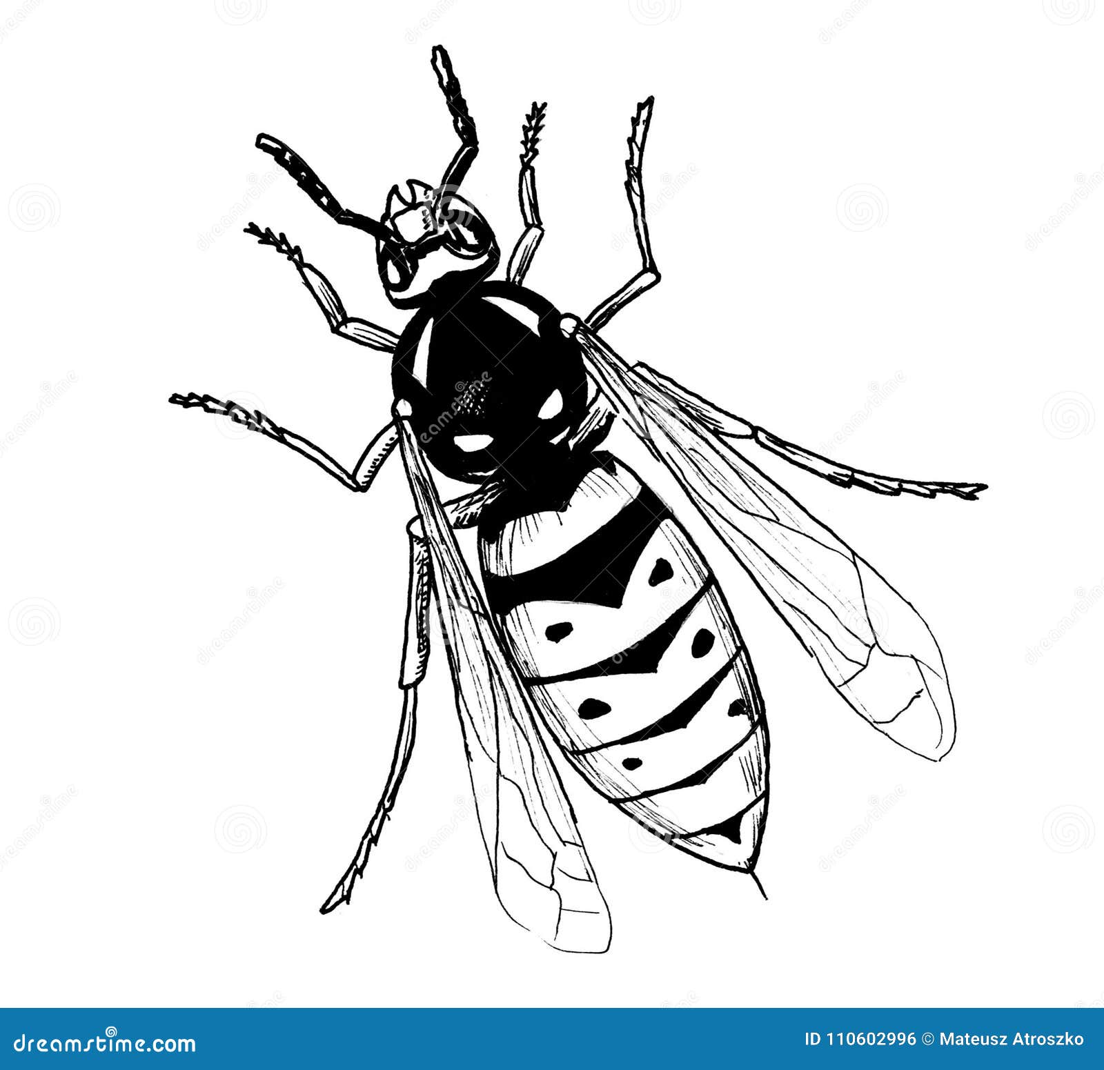 Vasp Cartoons, Illustrations & Vector Stock Images - 35 Pictures to ...