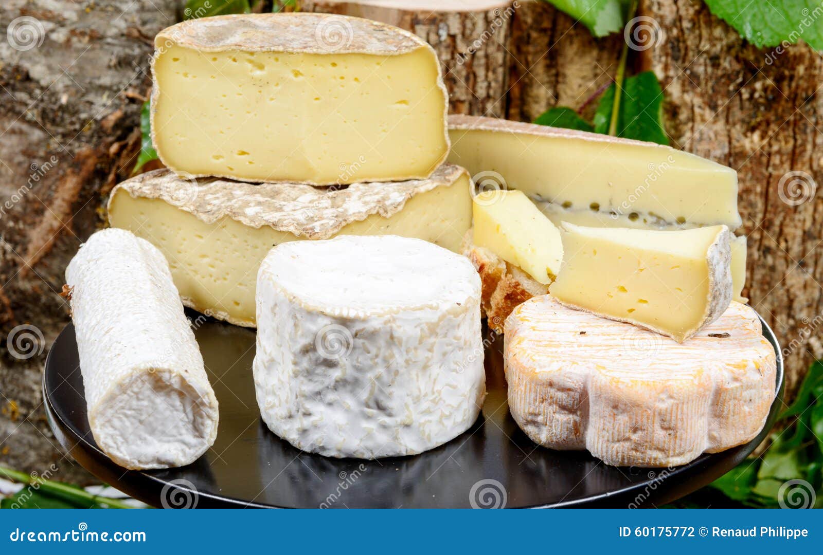 Vassoio Con Differenti Formaggi Francesi Fotografia Stock - Immagine di ...