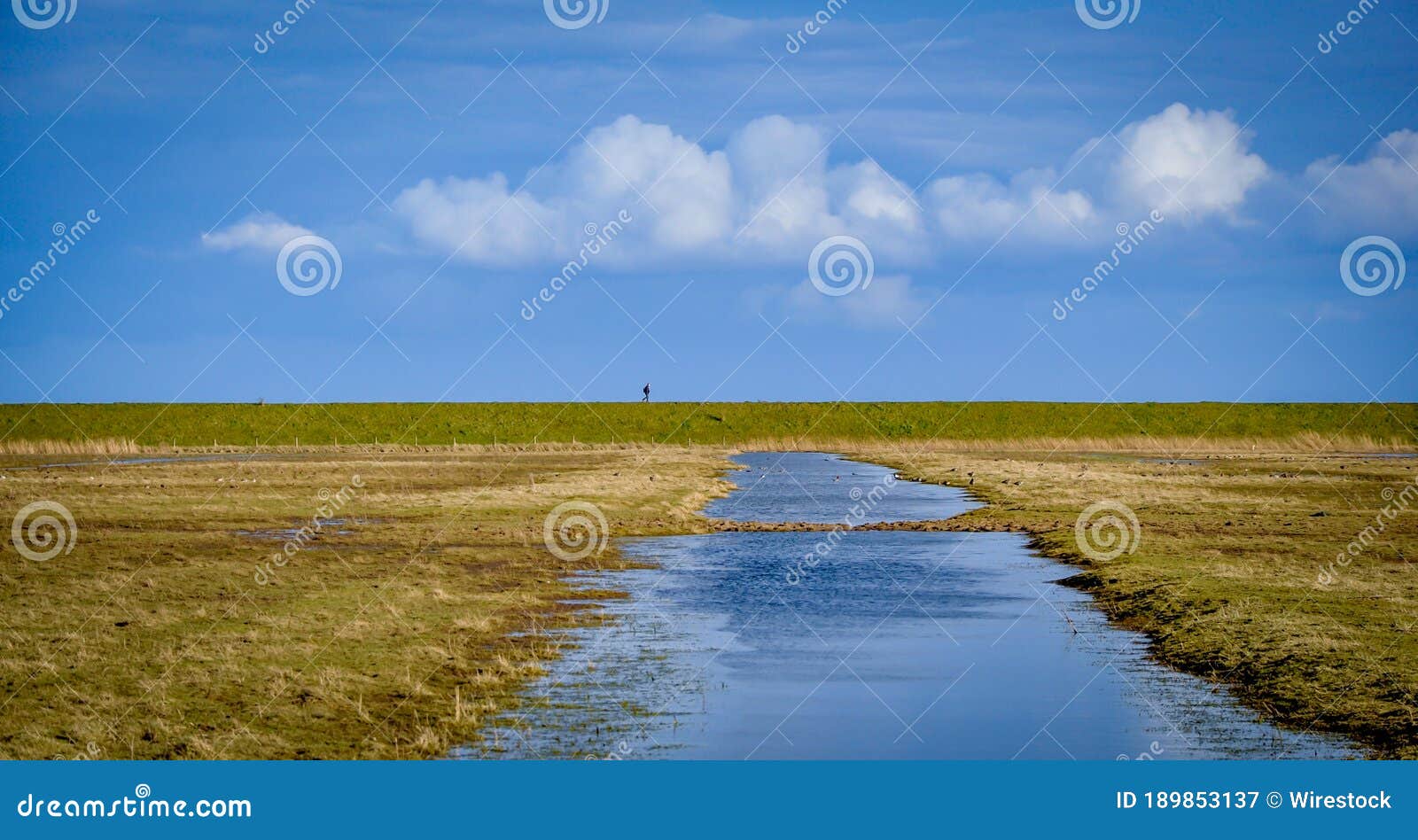 Vast Area with Grass and a Big Puddle with a Blue Sky Stock Image ...