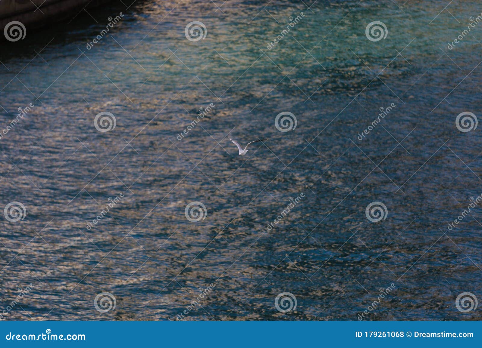 Vast Blue Ocean Background with Moderate Waves Looking Straight Down ...