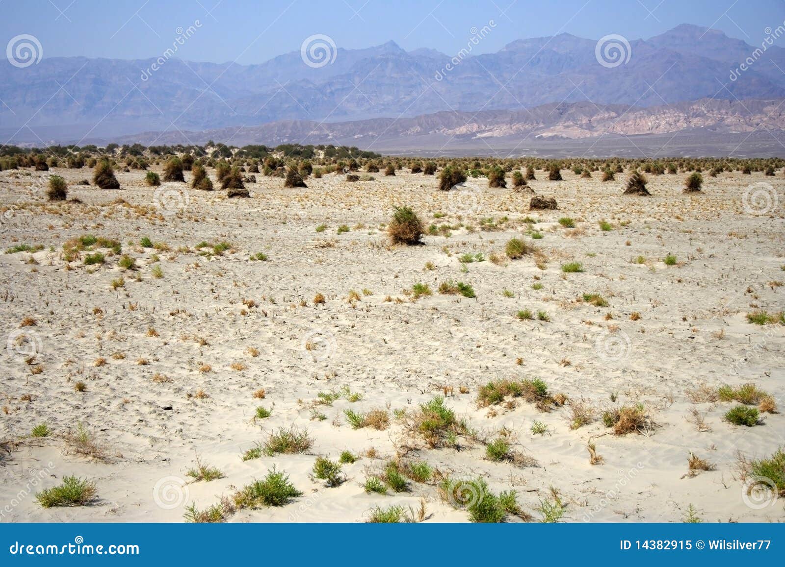 Vast Desert stock image. Image of southwest, monument - 14382915