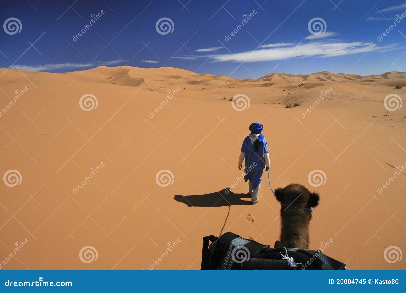 Vast Desert Camel Adventure Stock Image - Image of holiday, exotic ...