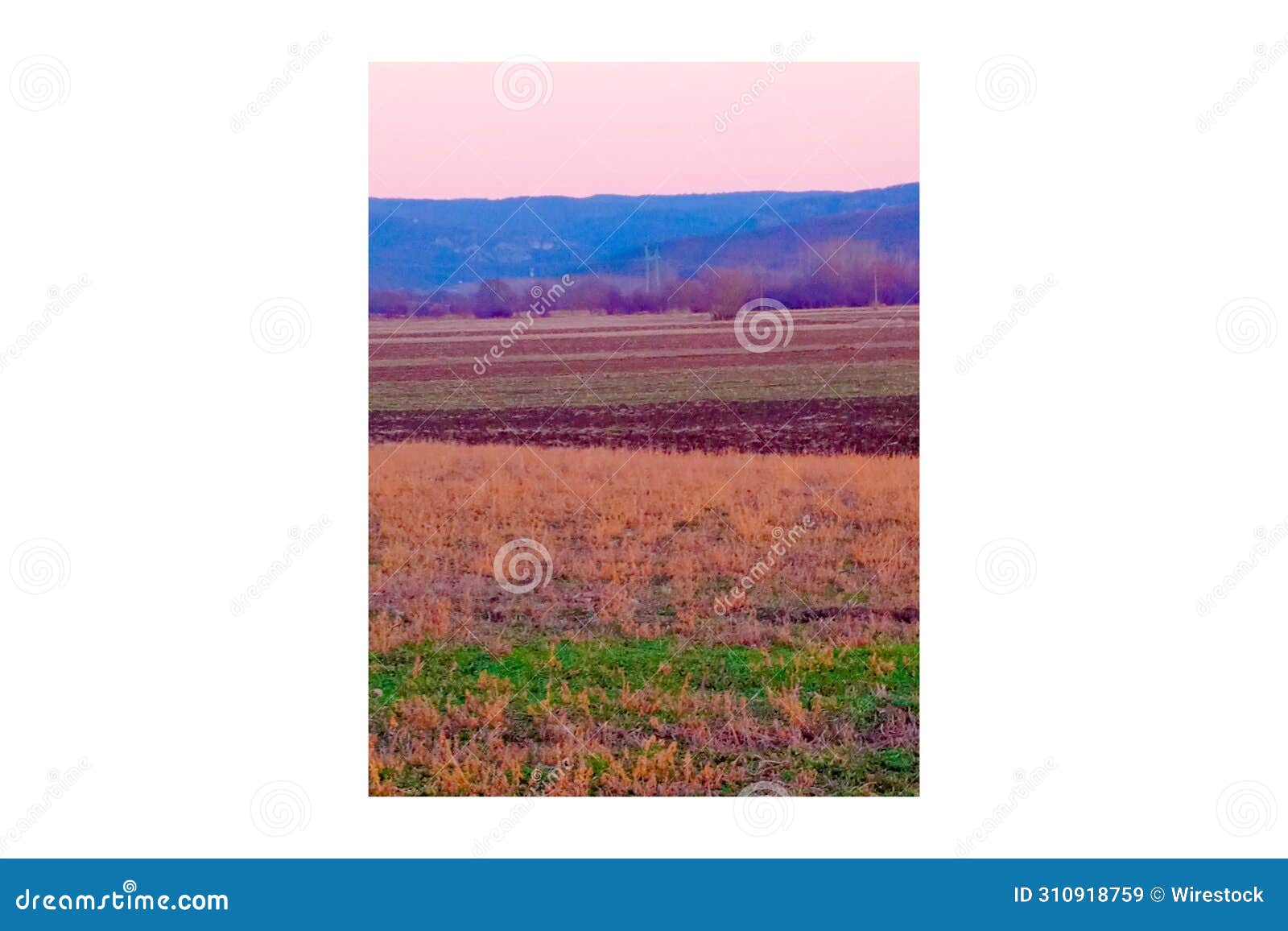 An Empty Field with a Distant Sky in the Background at Dusk Stock Image ...