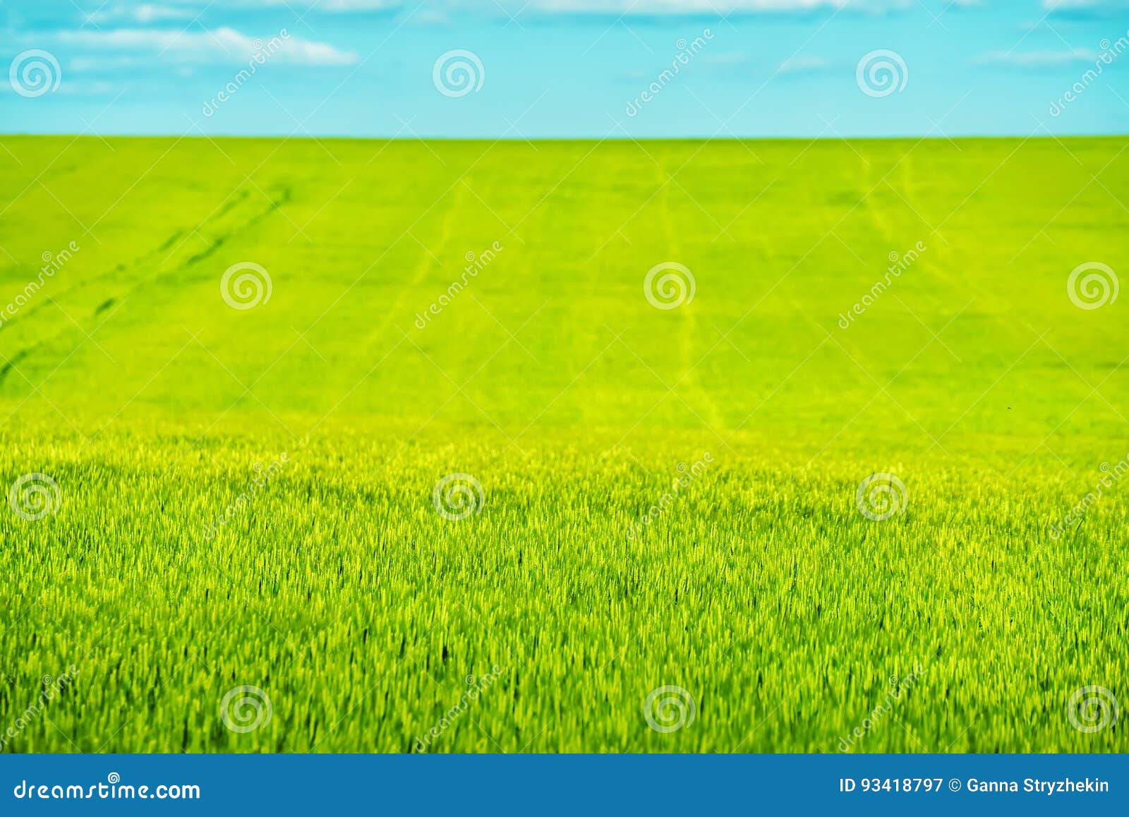The vast expanse of fields stock image. Image of agrarian - 93418797