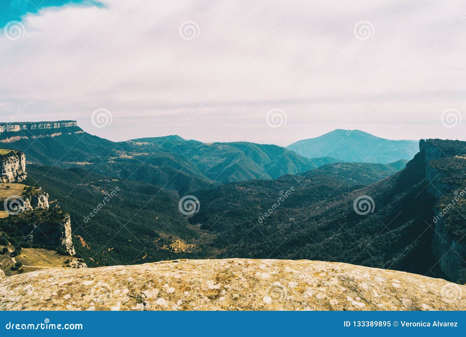 A Vast Expanse of Fields and Mountains Full of Trees Stock Image ...