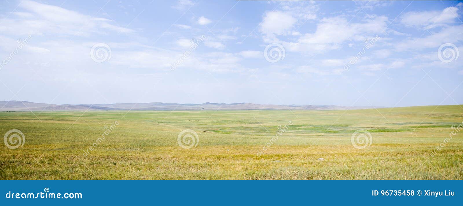 A Vast Expanse of Grassland Stock Photo - Image of vast, white: 96735458