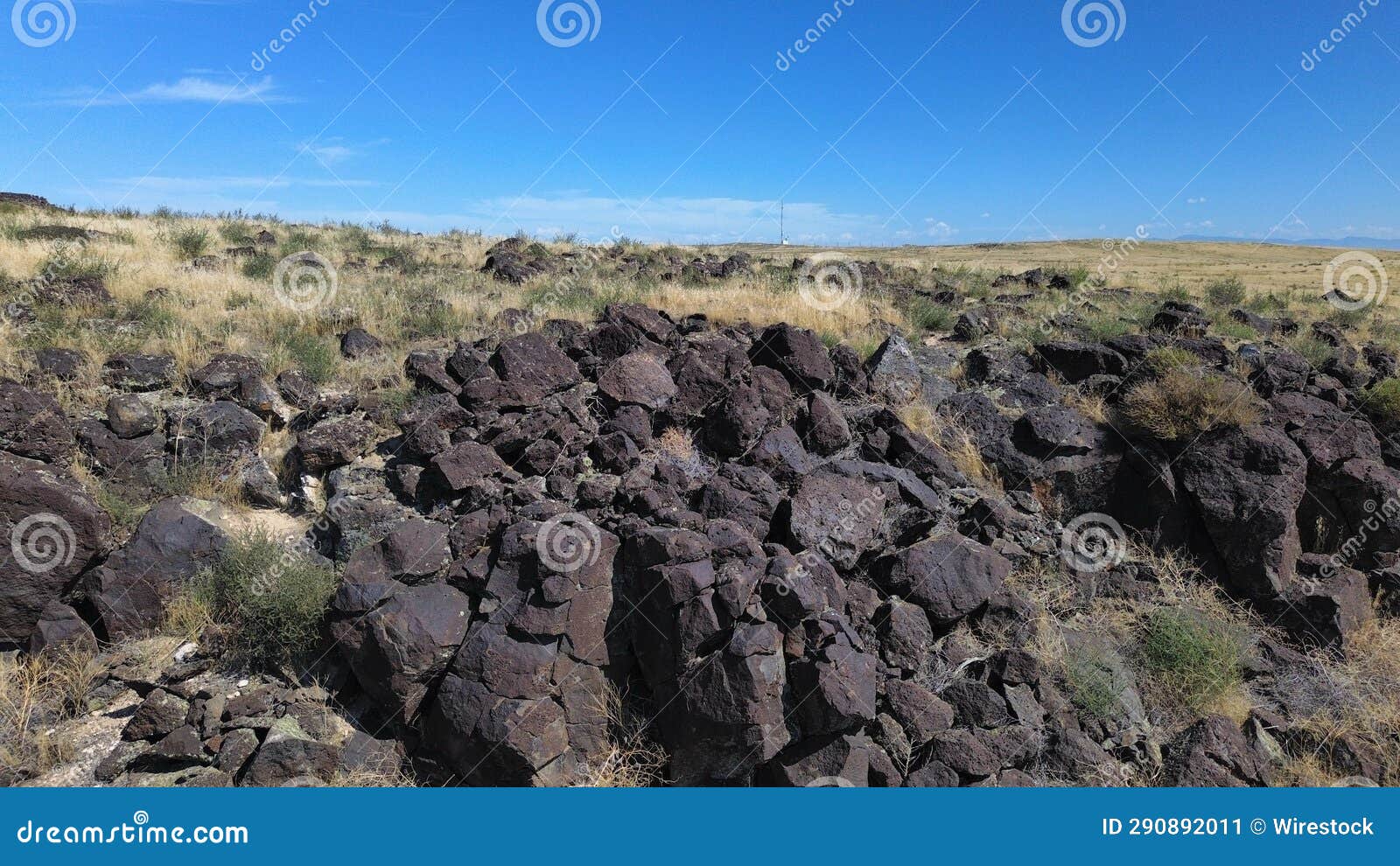 Vast Expanse of Rock Formations in a Majestic Landscape, with Grass ...
