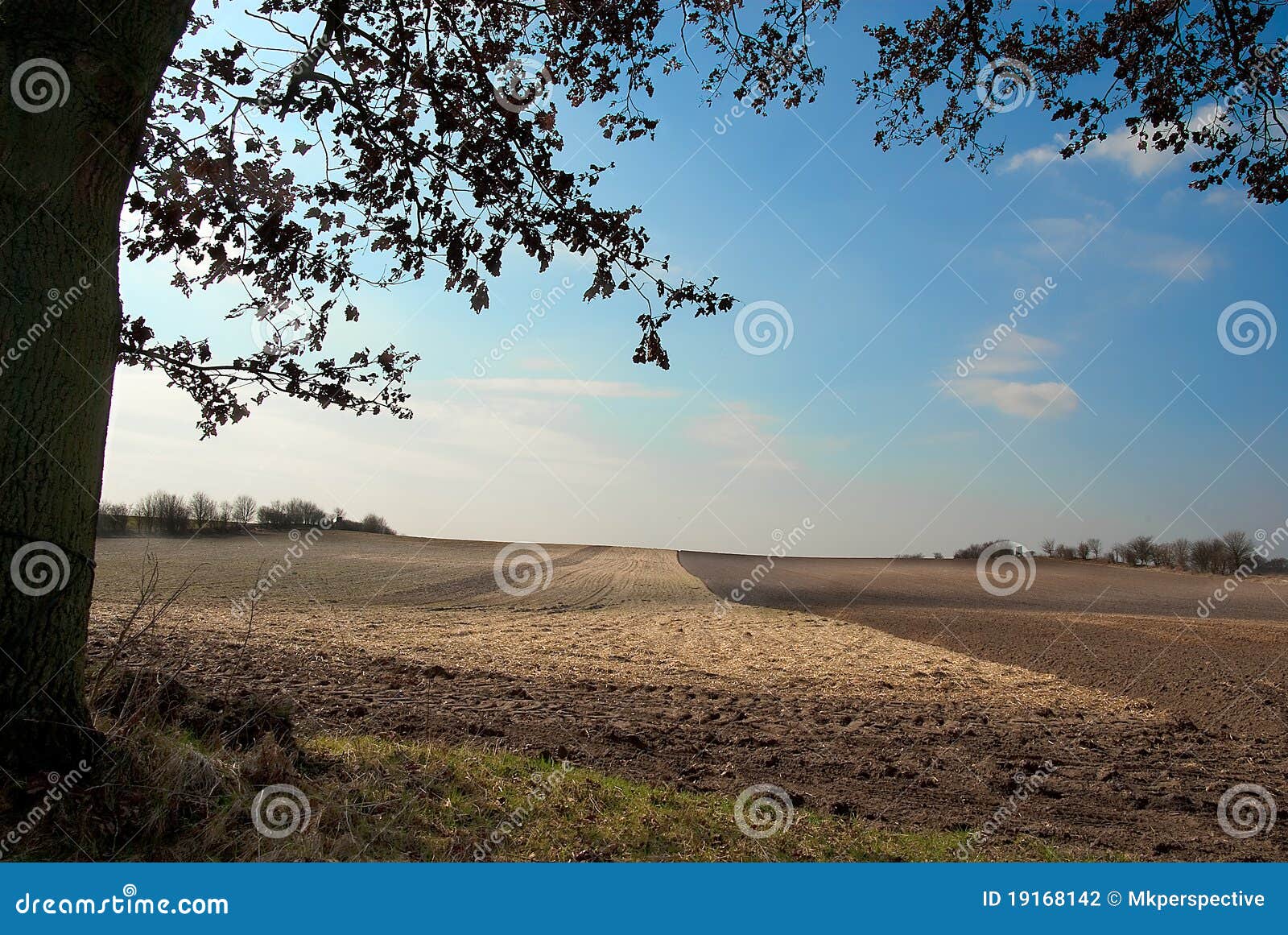 Vast field stock photo. Image of landscape, vast, fertile - 19168142