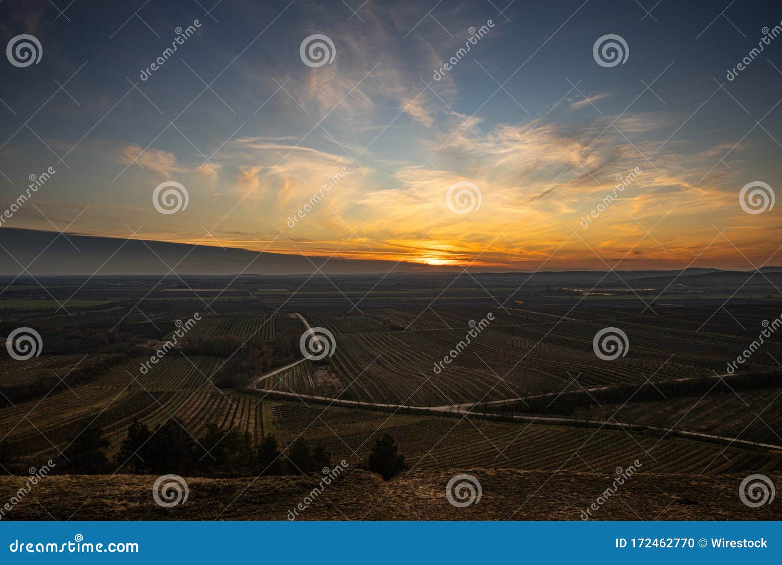 Vast Field during a Breathtaking Sunset Stock Photo - Image of meadow ...