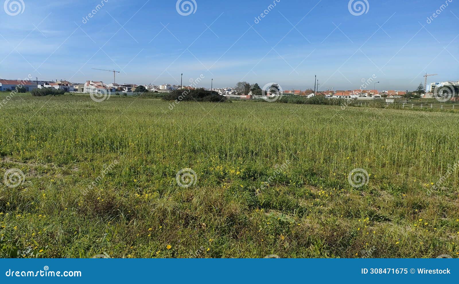Vast Field with Distant Trees and Buildings in the Background Stock ...