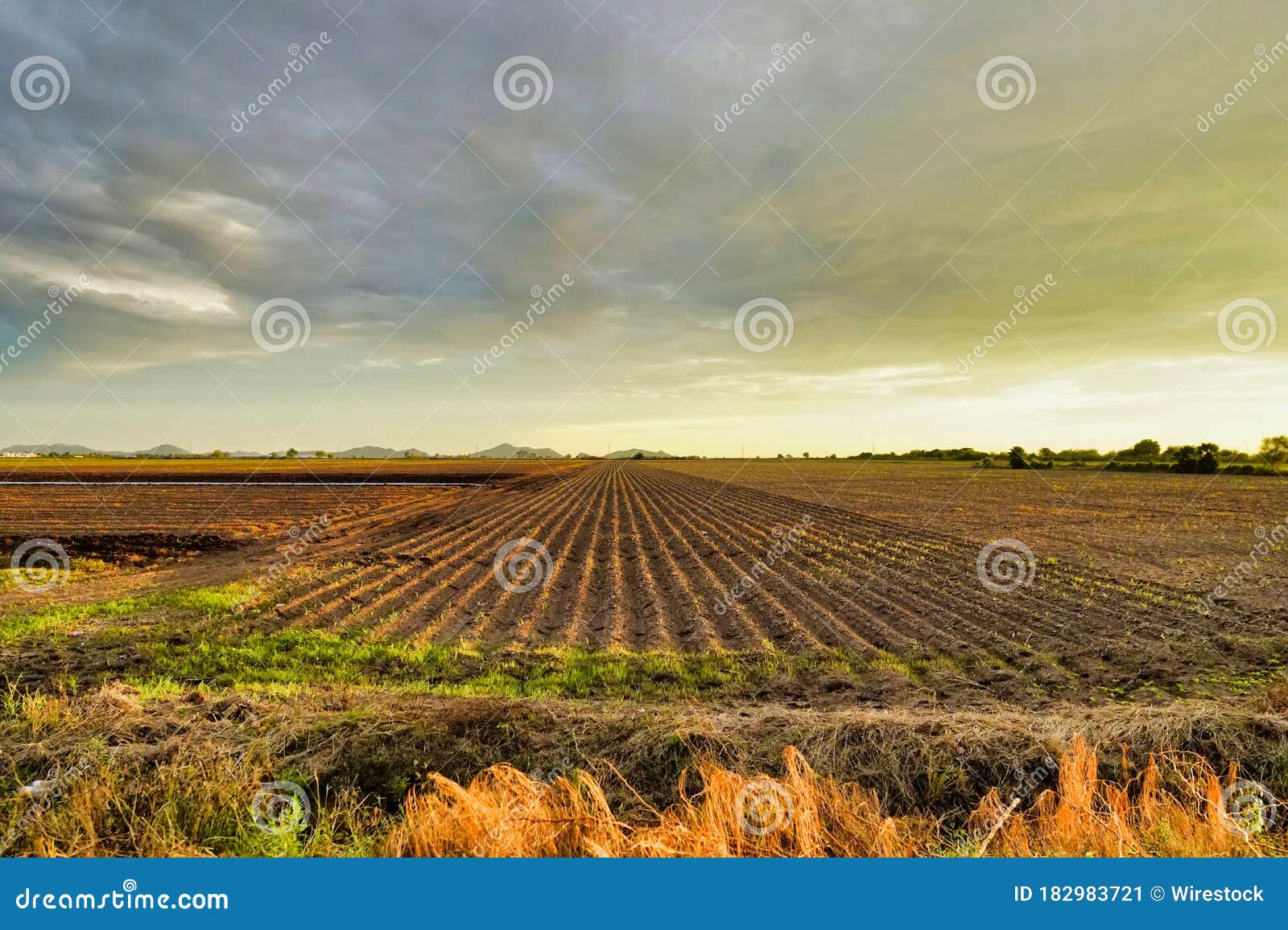 Vast Field with a Soil Ground during Daytime Stock Image - Image of ...
