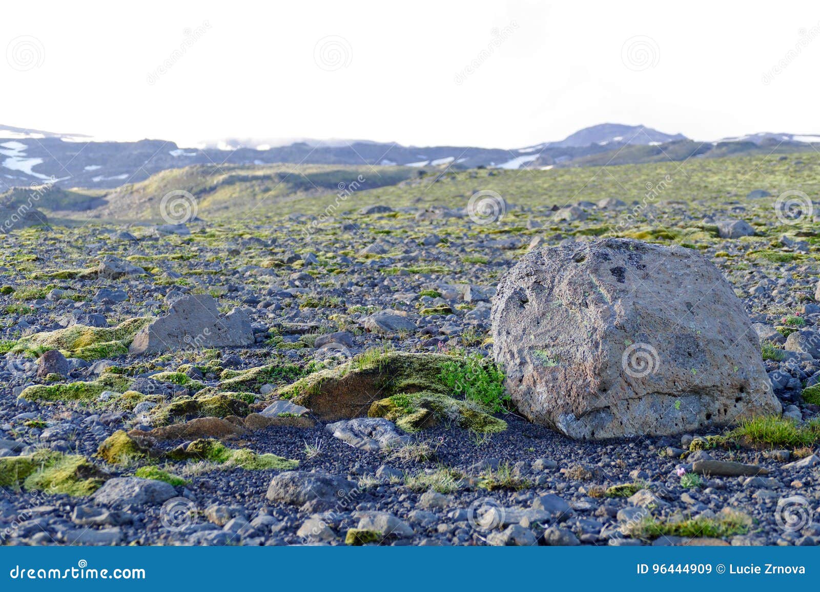 Vast Flat Area with Green Moss and Gravel Stock Image - Image of land ...