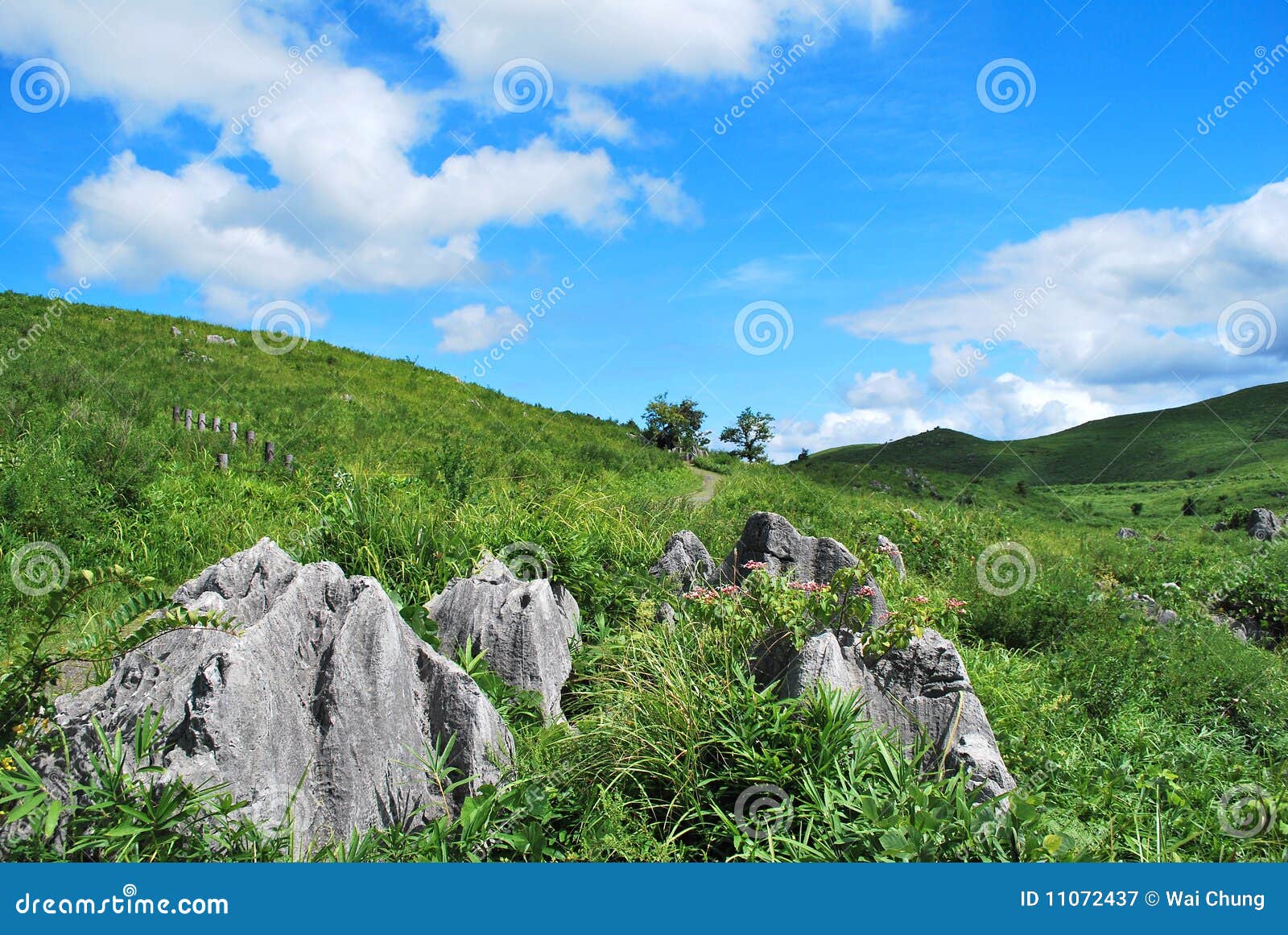 Vast karst plateau stock image. Image of generic, erosion - 11072437
