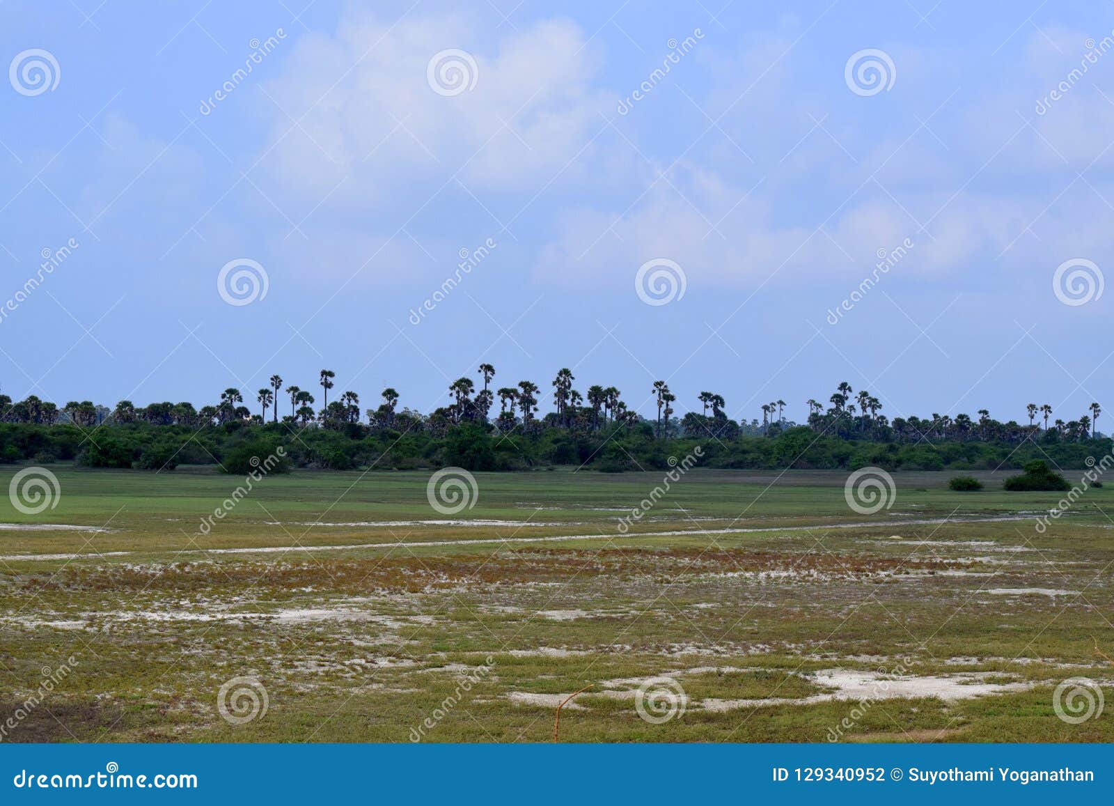 Vast land stock photo. Image of lands, nature, land - 129340952