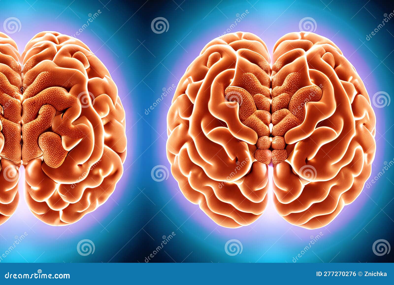 A Vast Neural Network of Cells and Pathways - Concept Stock ...