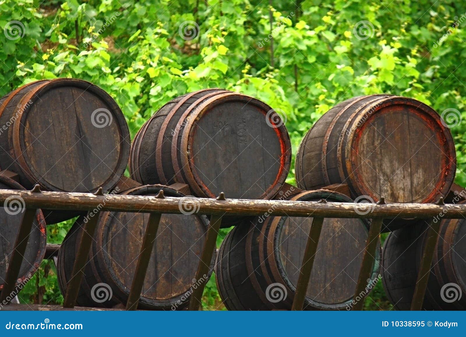 Vat wine and leaves stock image. Image of rows, ferment - 10338595