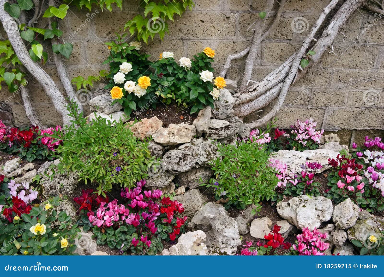 In Vatican gardens stock image. Image of multicolored - 18259215