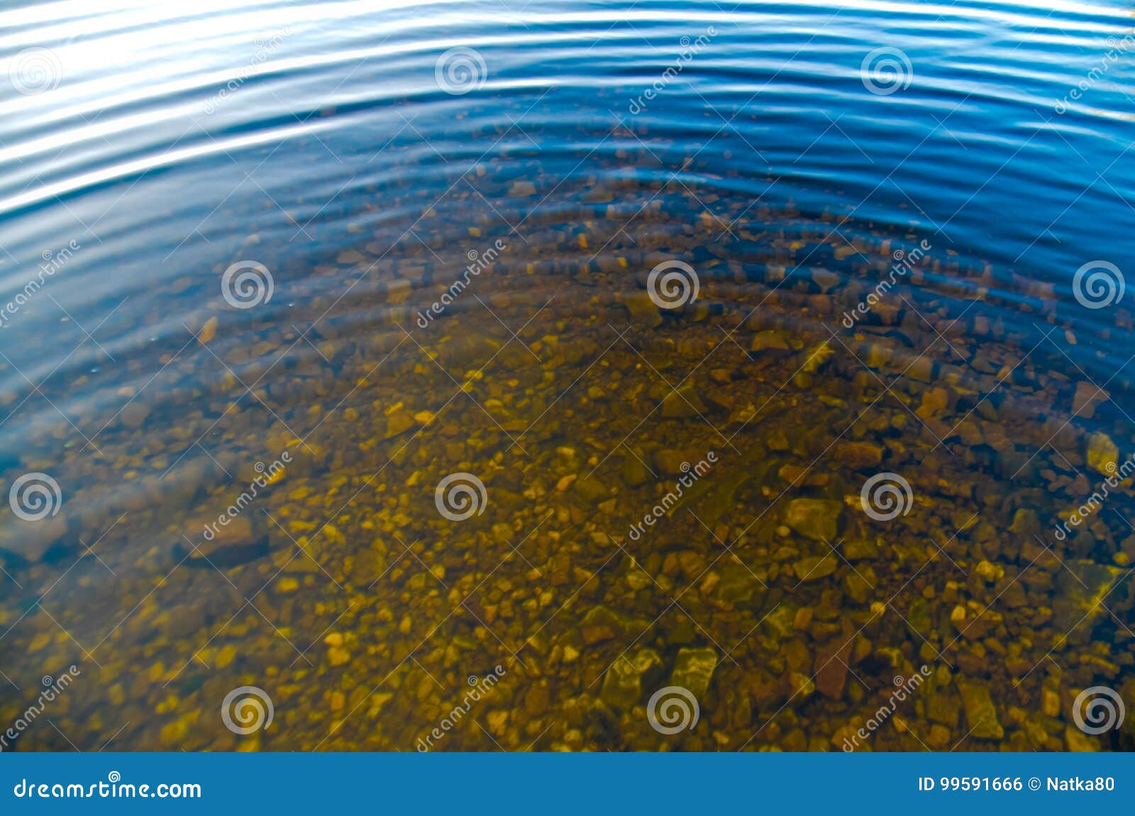 Vatten Stenar Botten Av Floden Arkivfoto - Bild av flytande, kust: 99591666