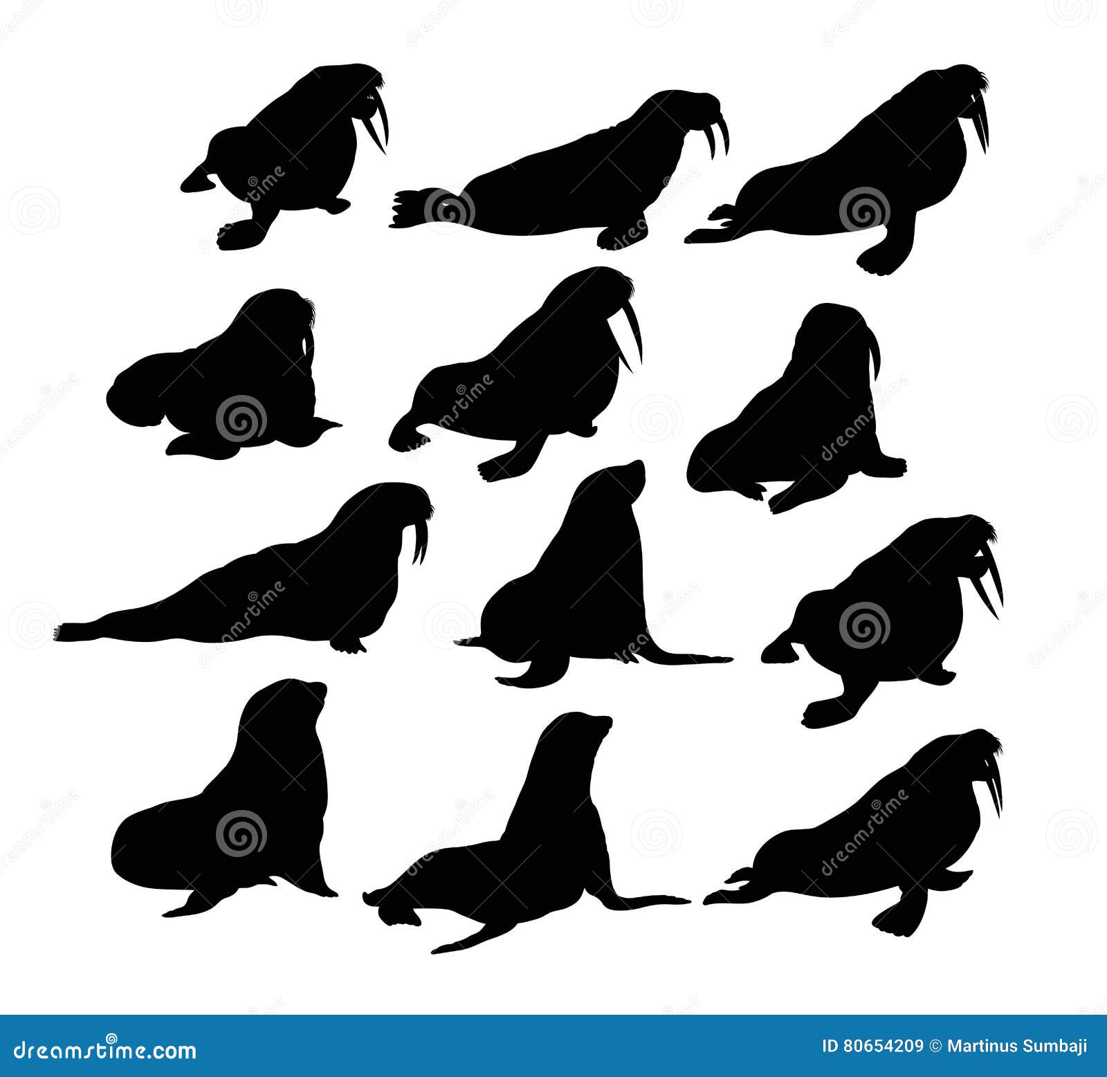 Vatten- Valross Och Marine Life Silhouettes Vektor Illustrationer ...