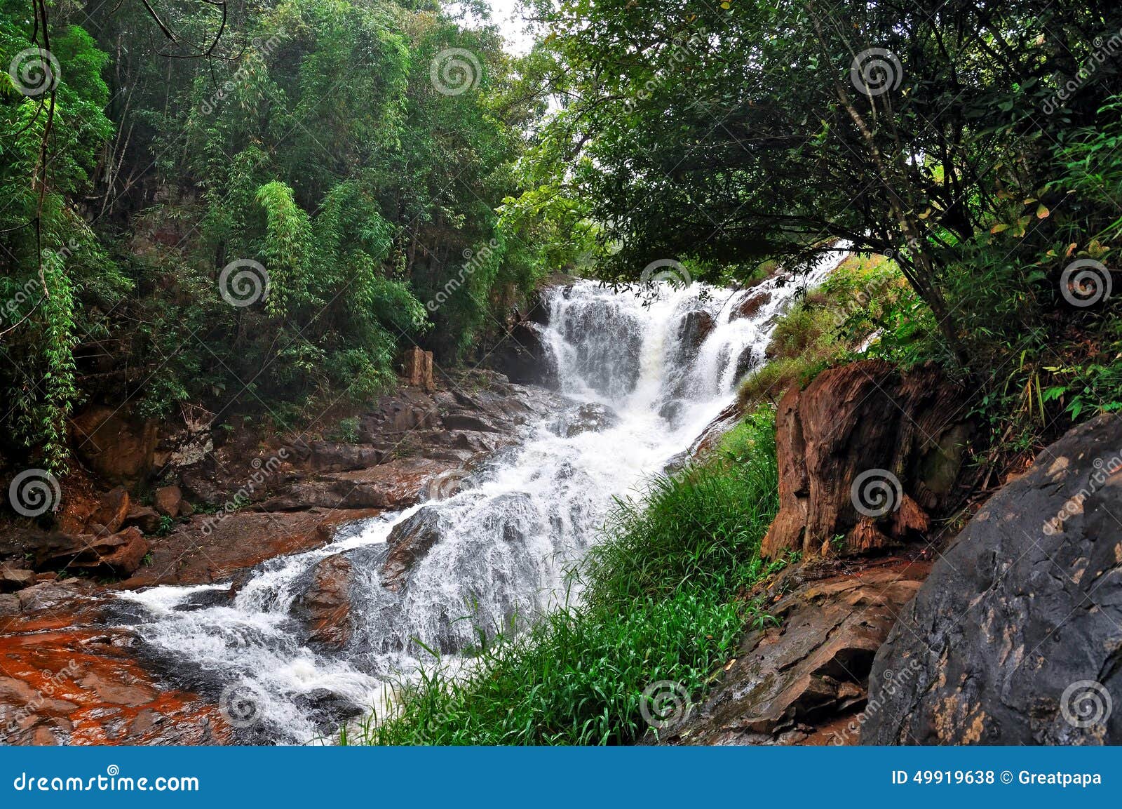 Vattenfall i en skog arkivfoto. Bild av liggande, horisontal - 49919638