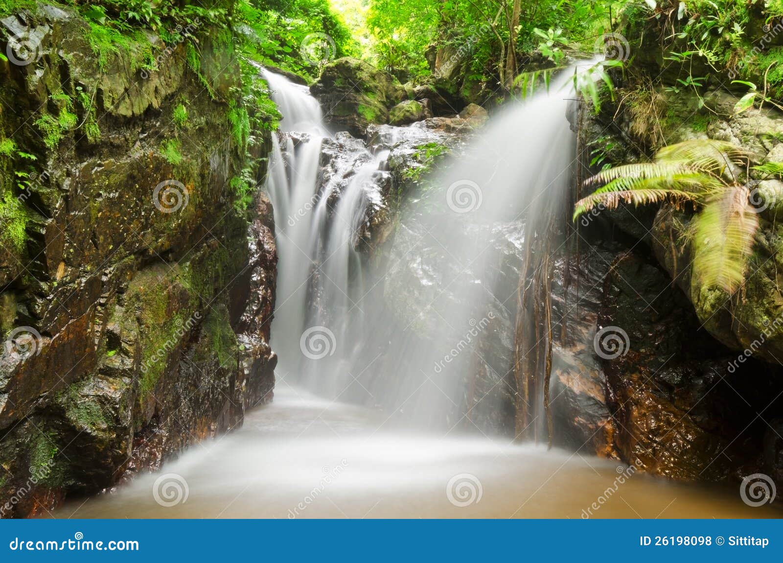 Vattenfall I Tropiska Regnskogar Arkivfoto - Bild av flöda, kullar ...