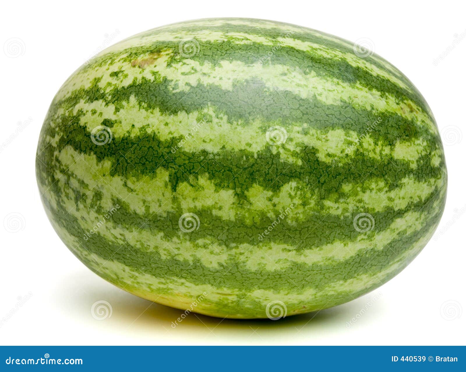 Vattenmelon fotografering för bildbyråer. Bild av band - 440539