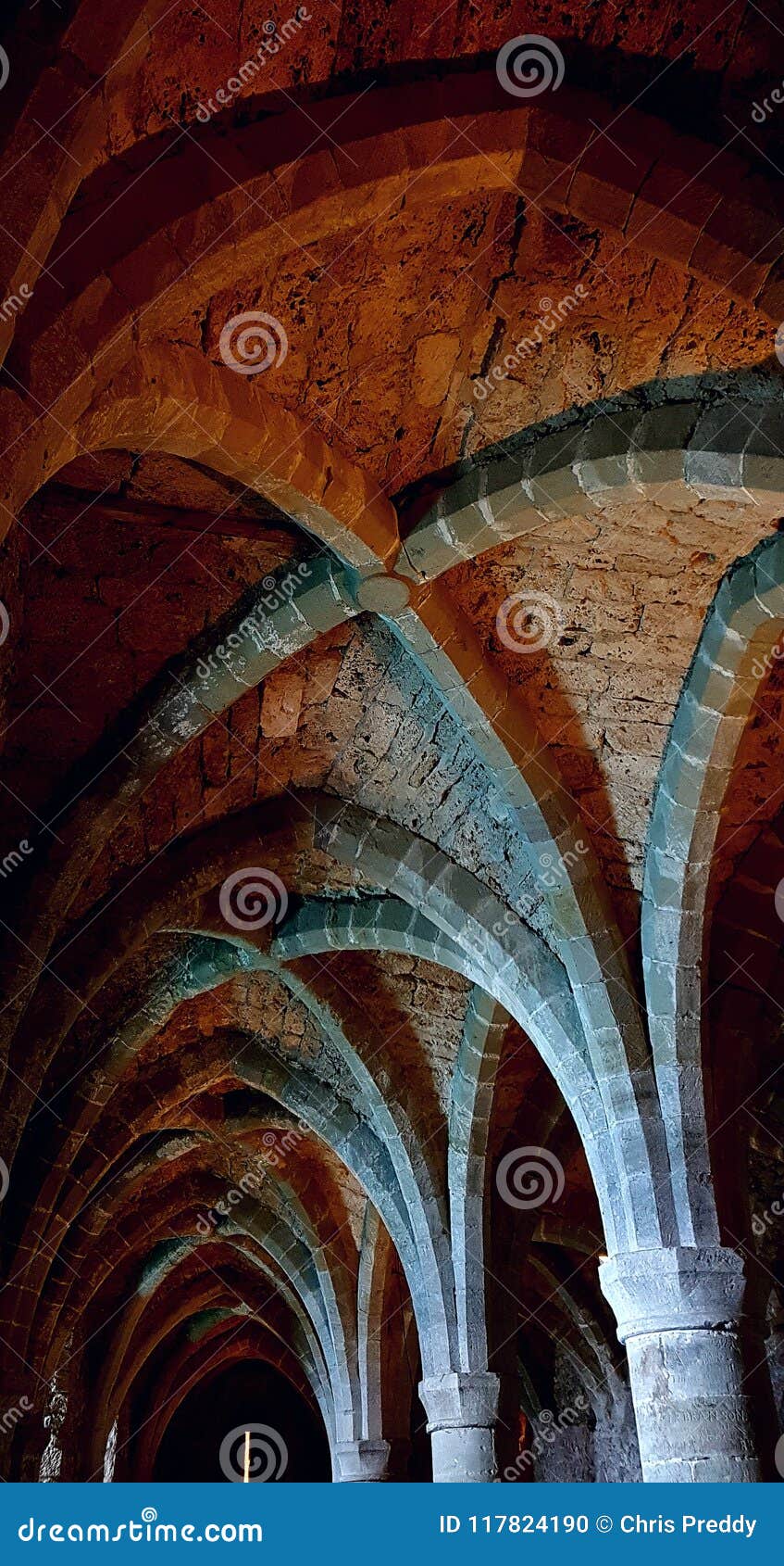 Chateau Chillon Vaulted Ceiling Editorial Image - Image of interesting ...