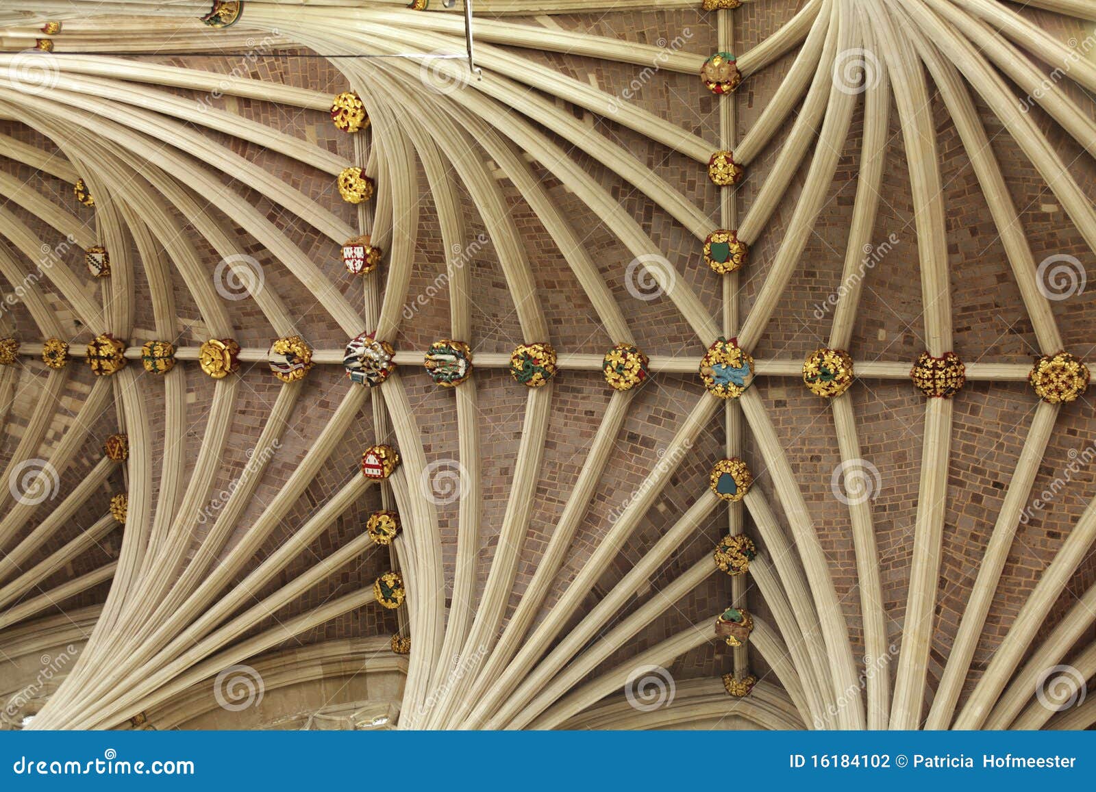Vaulted Ceiling of Exeter Cathedral in Devon Editorial Photography ...