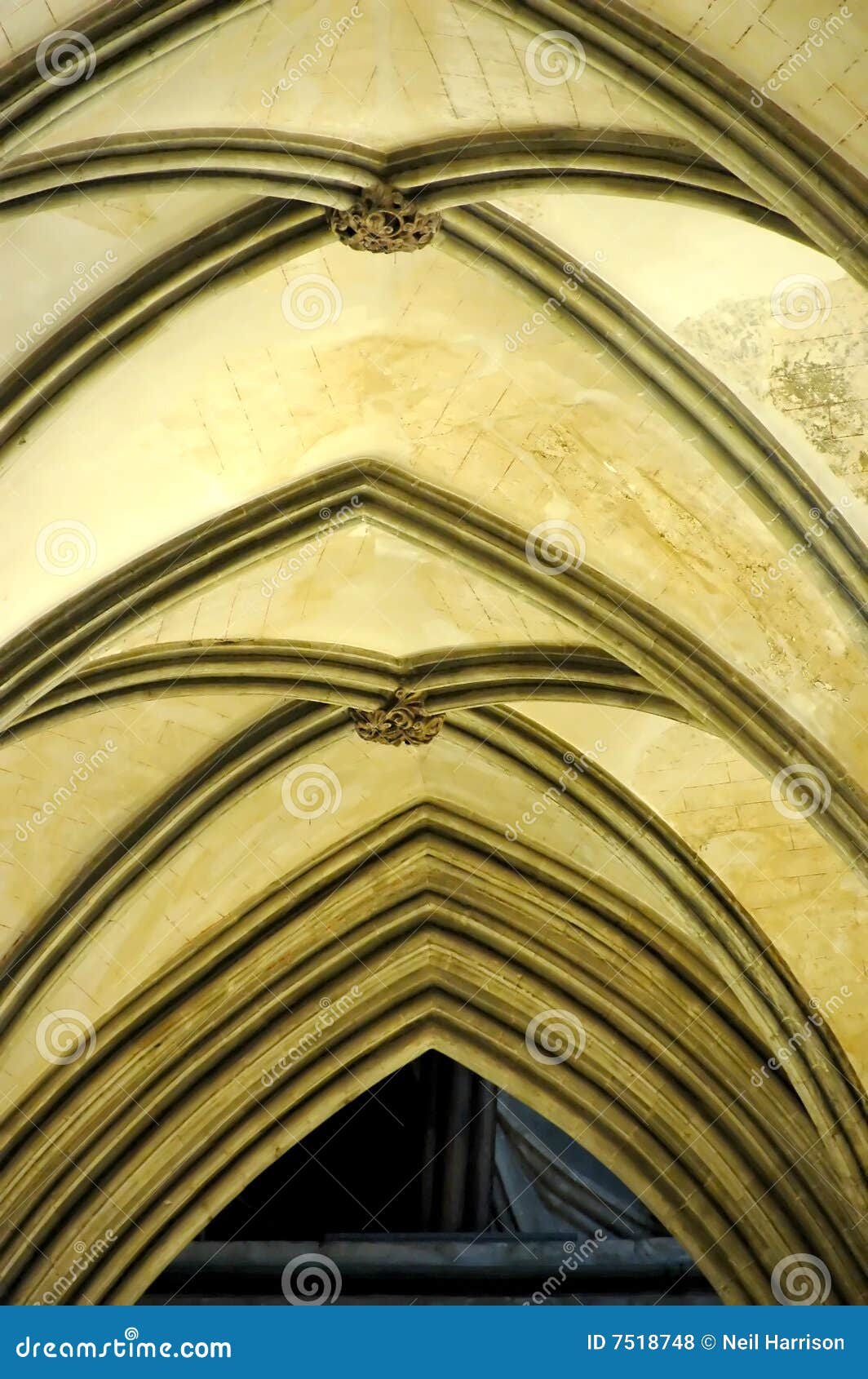 Gothic Cathedral Ceiling