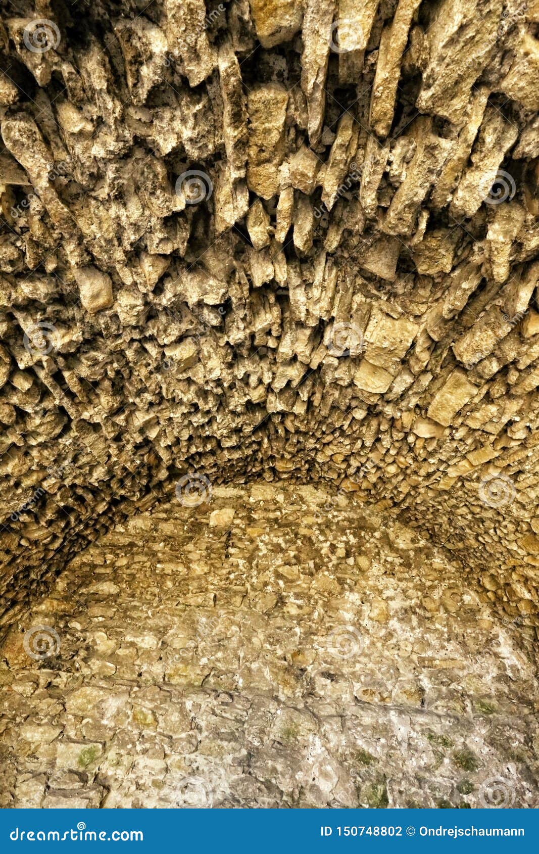 Vaulted Ceiling of Old Castle Cellar Stock Photo - Image of vault ...