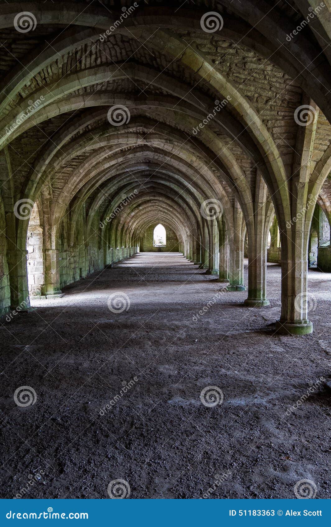 Vaulting In Old Cellar Royalty-Free Stock Photo | CartoonDealer.com ...