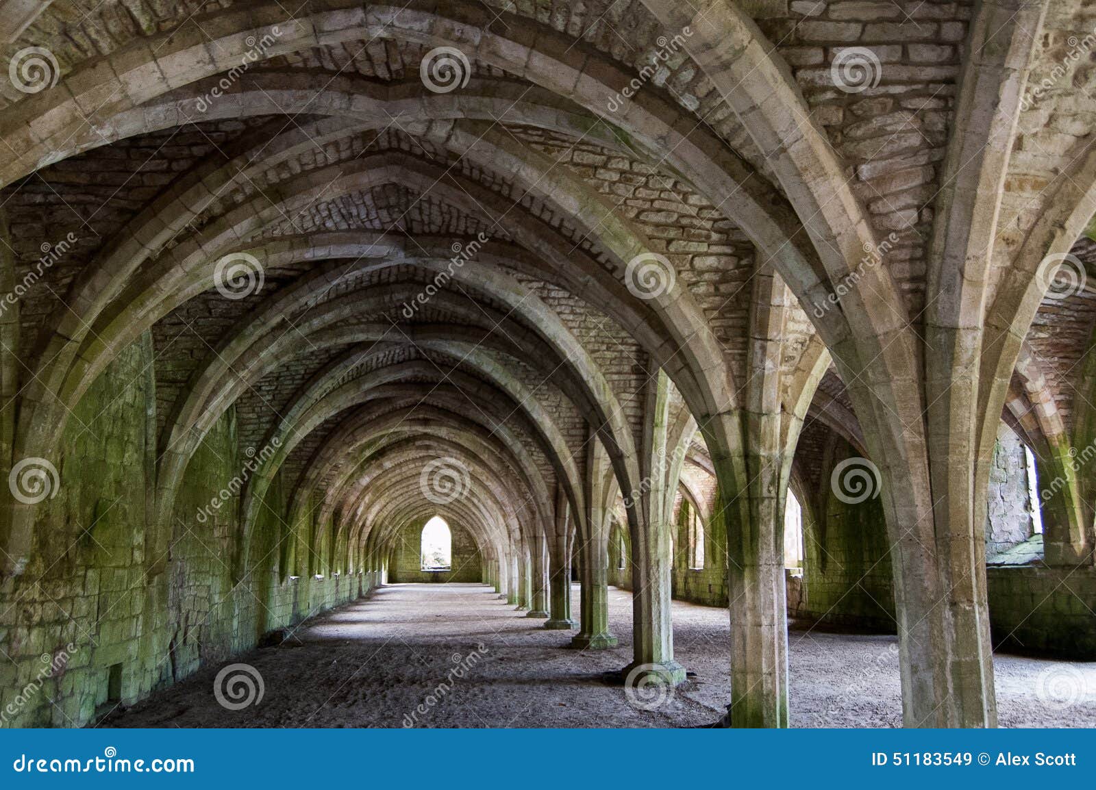 Vaulting in old cellar stock image. Image of crypt, tunnel - 51183549