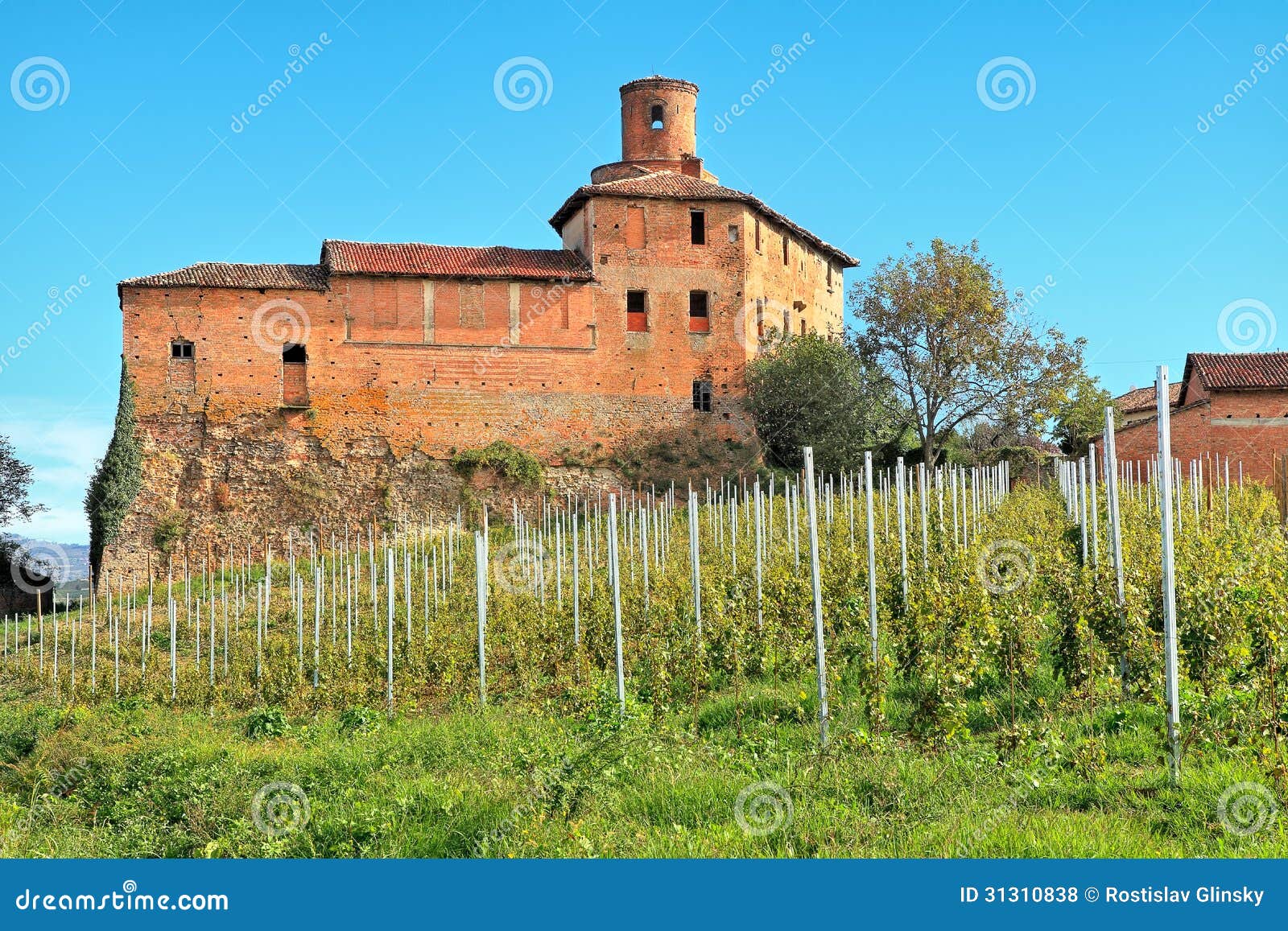 Vecchi Castello E Vigne in Piemonte, Italia. Fotografia Stock ...