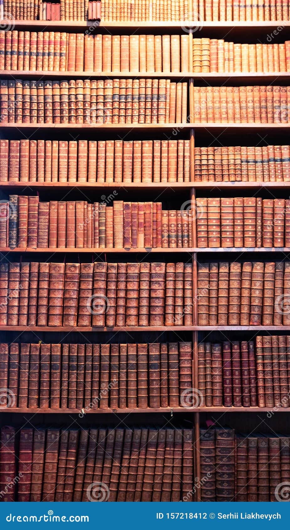Vecchi Libri Sugli Scaffali Delle Librerie Fotografia Stock - Immagine ...