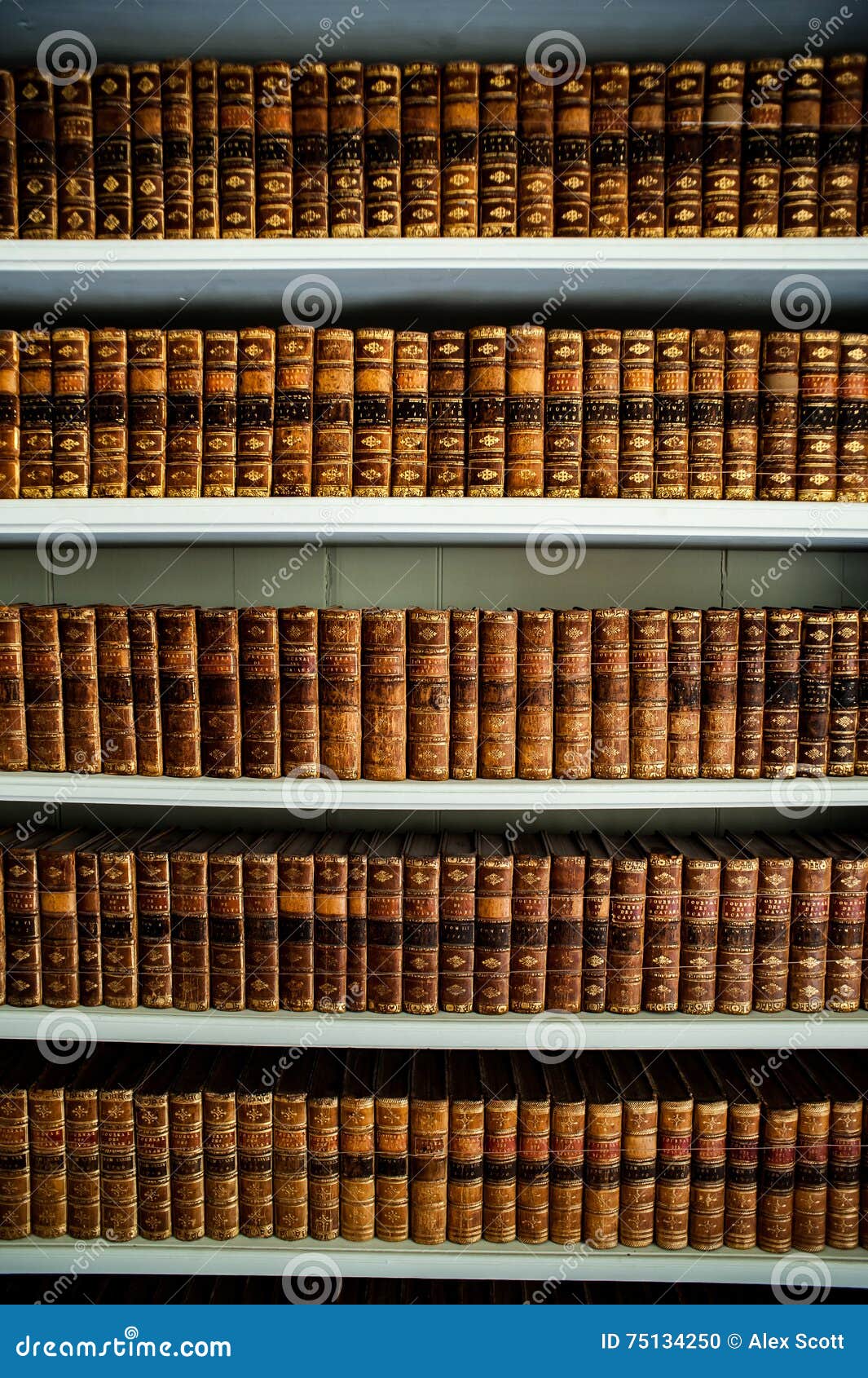 Vecchi Libri in Una Biblioteca Antica Fotografia Stock - Immagine di ...