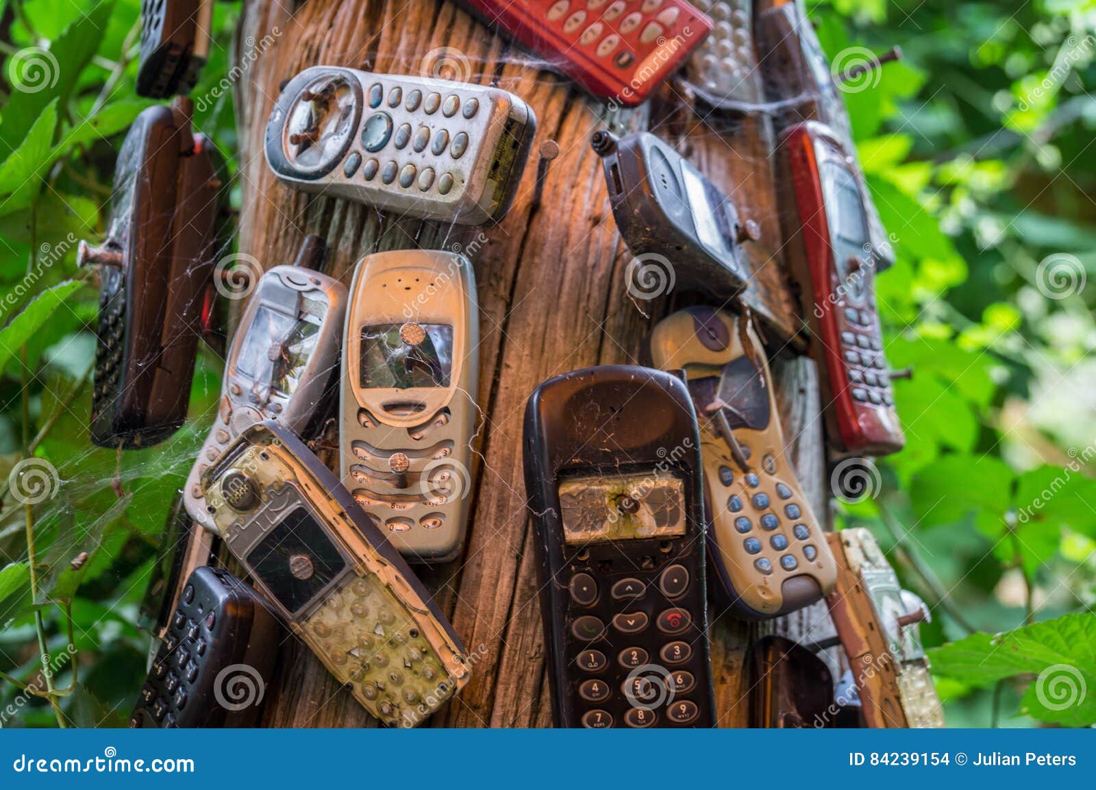 Vecchi Telefoni Cellulari Rotti Inchiodati All'albero Fotografia Stock ...