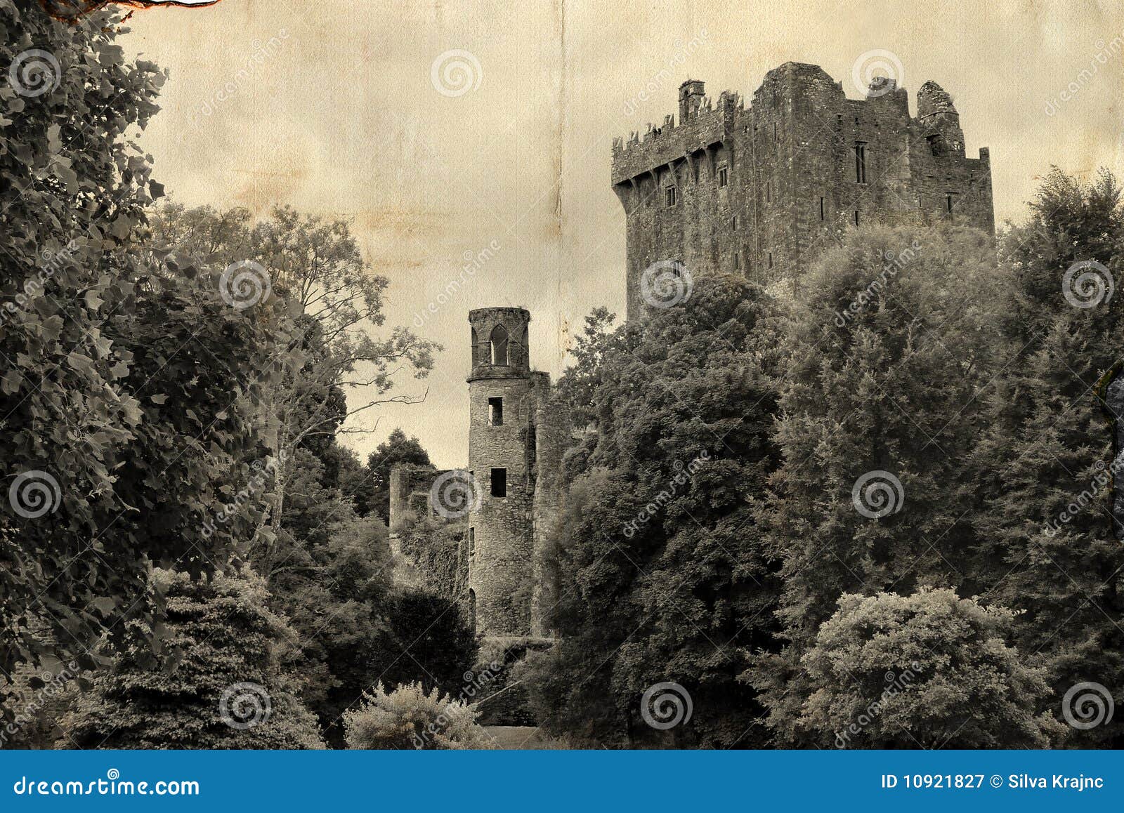 Vecchia Cartolina Dal Castello Di Lusinga, Irlanda Immagine Stock ...