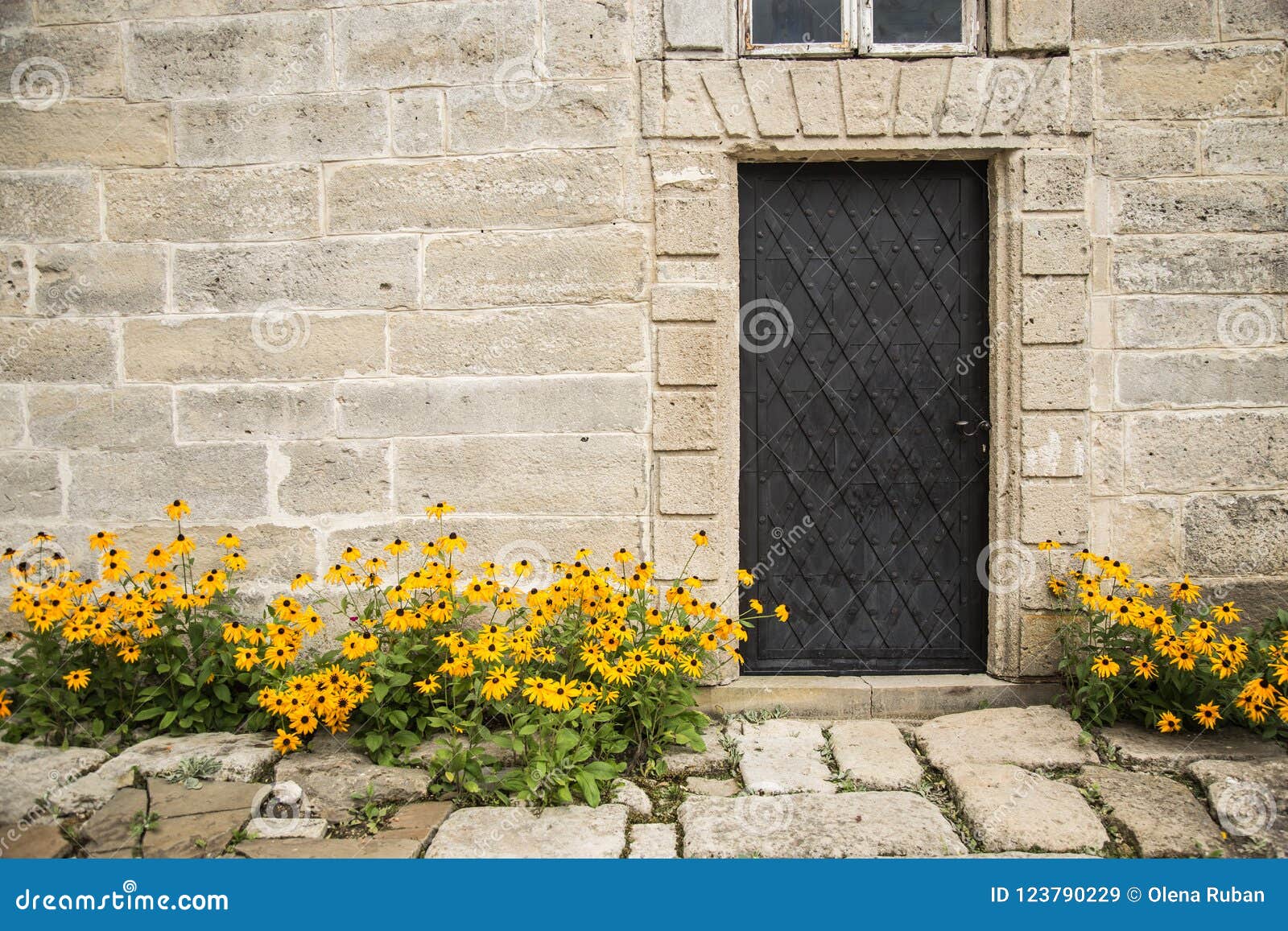 Vecchia Porta Nera E Fiori Gialli Immagine Stock - Immagine di ... Vecchia Porta Nera E Fiori Gialli Immagine Stock - Immagine di ...