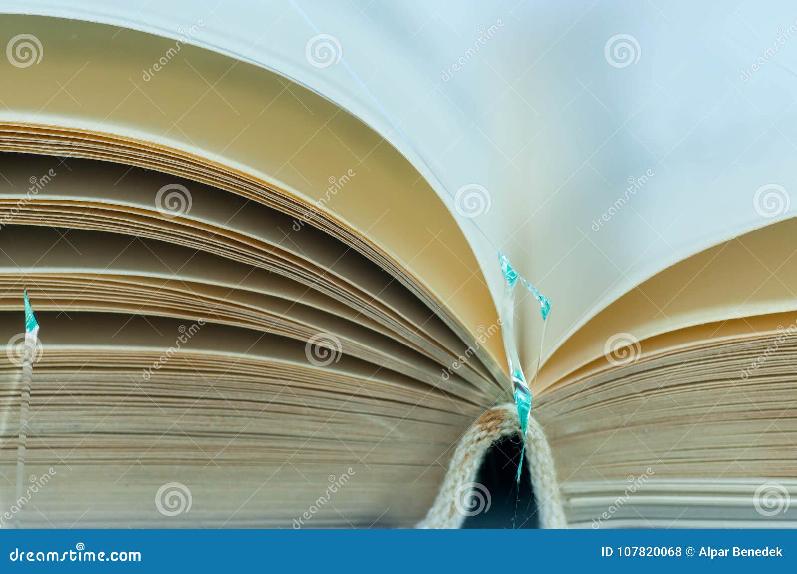 Vecchie Pagine in Bianco Aperte Del Libro Isolate Su Vetro Tagliato ...