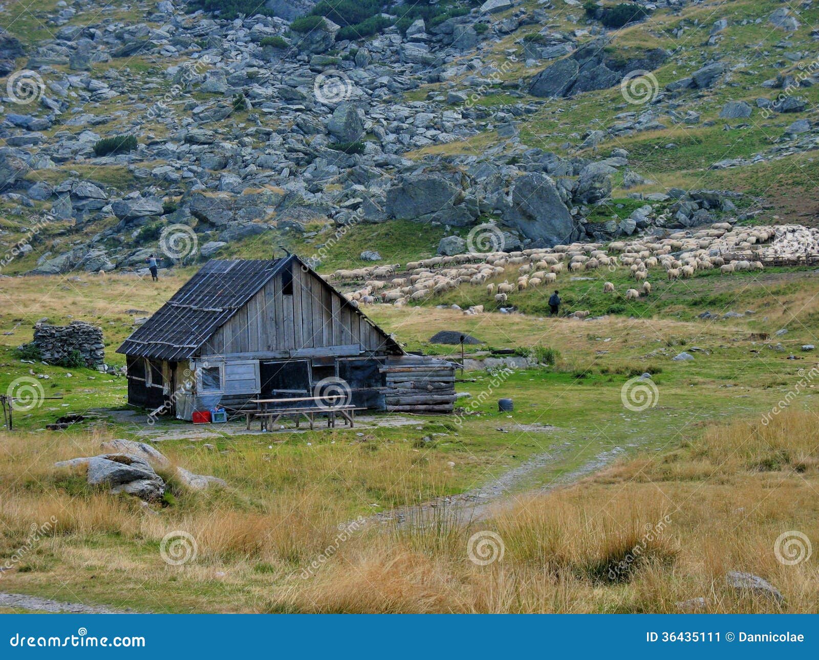 Vecchio ovile di legno immagine stock. Immagine di erba - 36435111