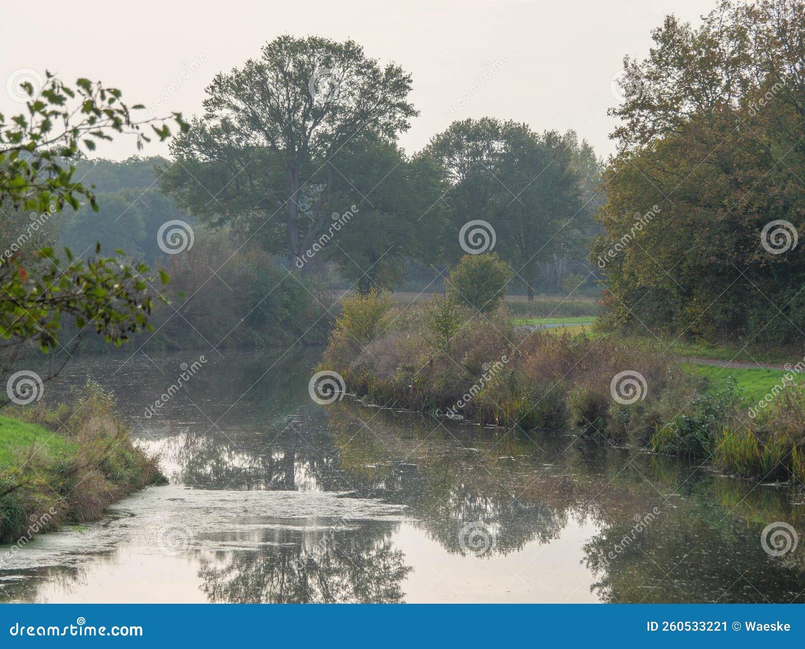 The Vechte River and the City of Emlichheim Stock Image - Image of tree ...