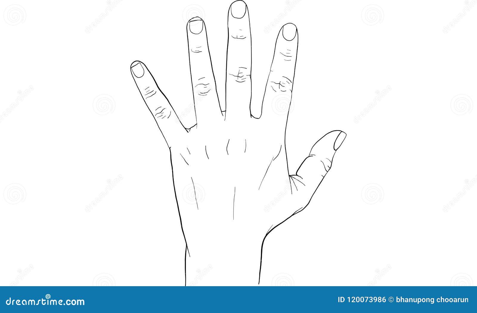 Vecteur D'action De Main, Paume De Main Illustration de Vecteur ...