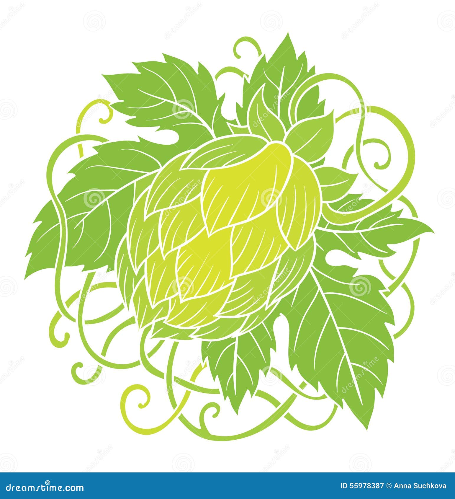 Vecteur d'houblon illustration de vecteur. Illustration du irlandais ...