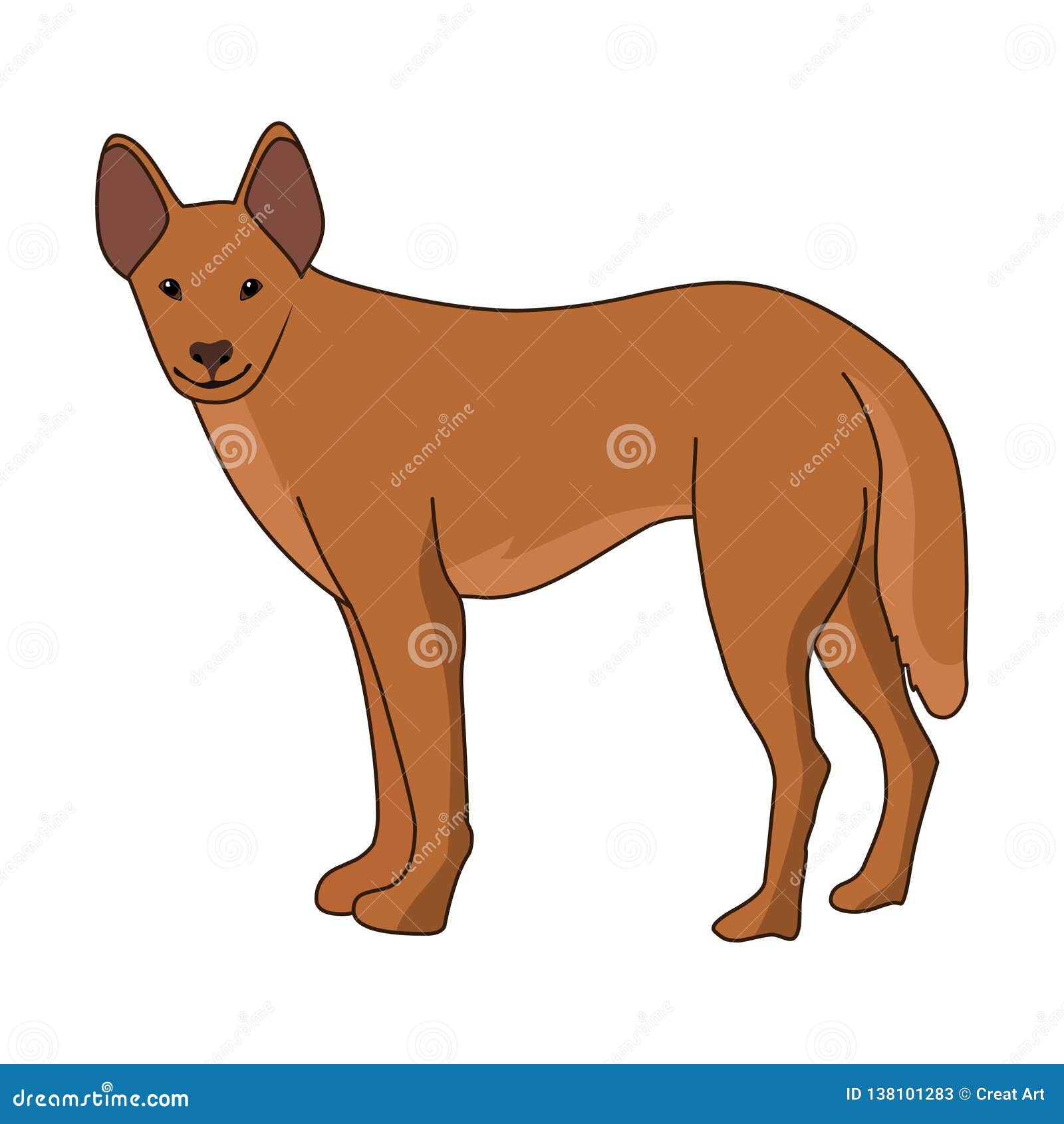 Vecteur D'illustration De Dingo Image D'actions De Vecteur De Dingo ...