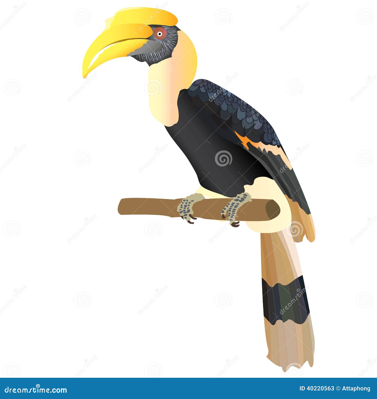 VECTEUR de calao illustration de vecteur. Illustration du image - 40220563