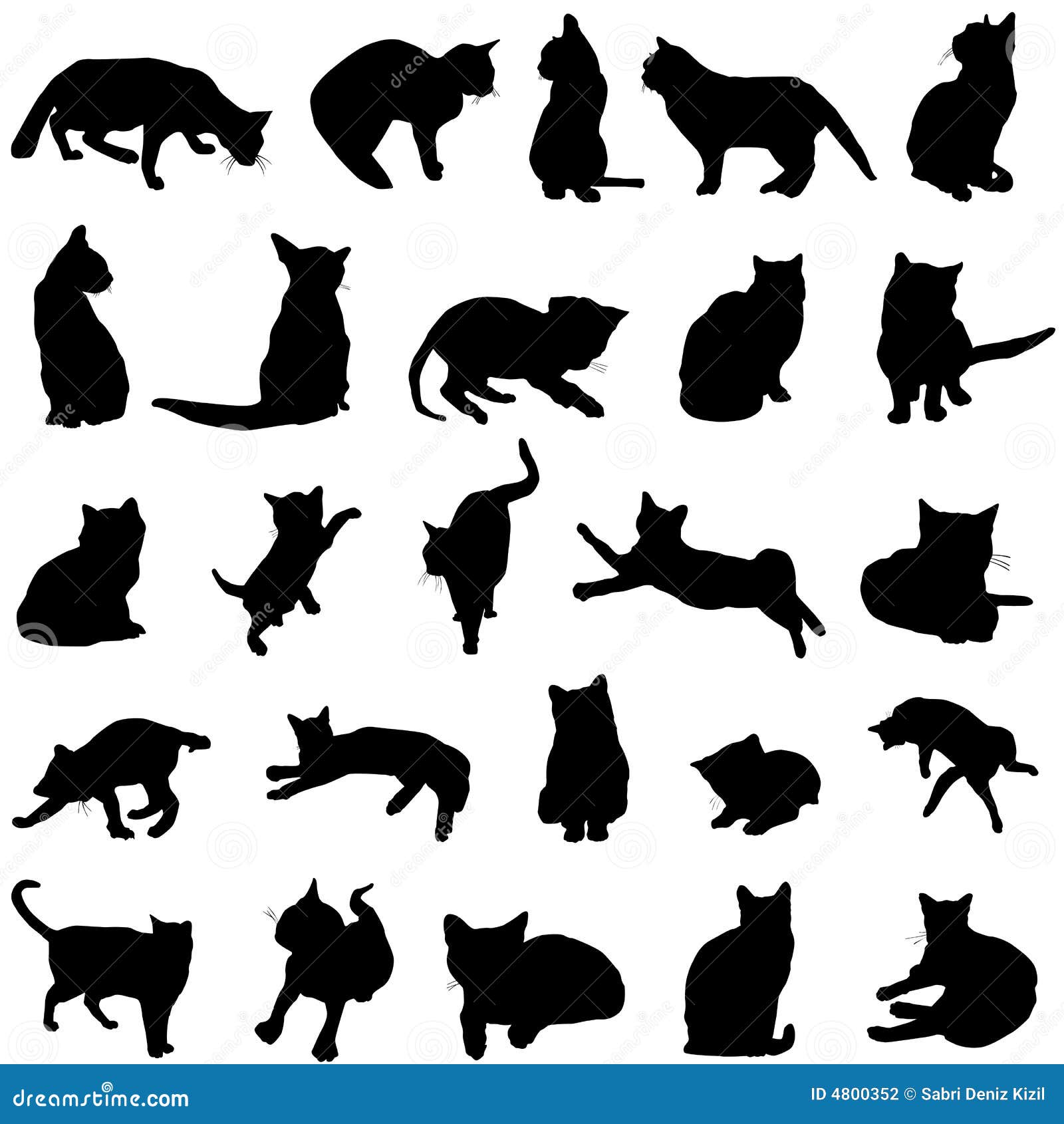 Vecteur de chat illustration de vecteur. Illustration du illustration ...