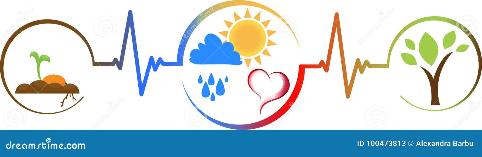 Vecteur De Cycle De Vie De Plan Illustration de Vecteur - Illustration ...